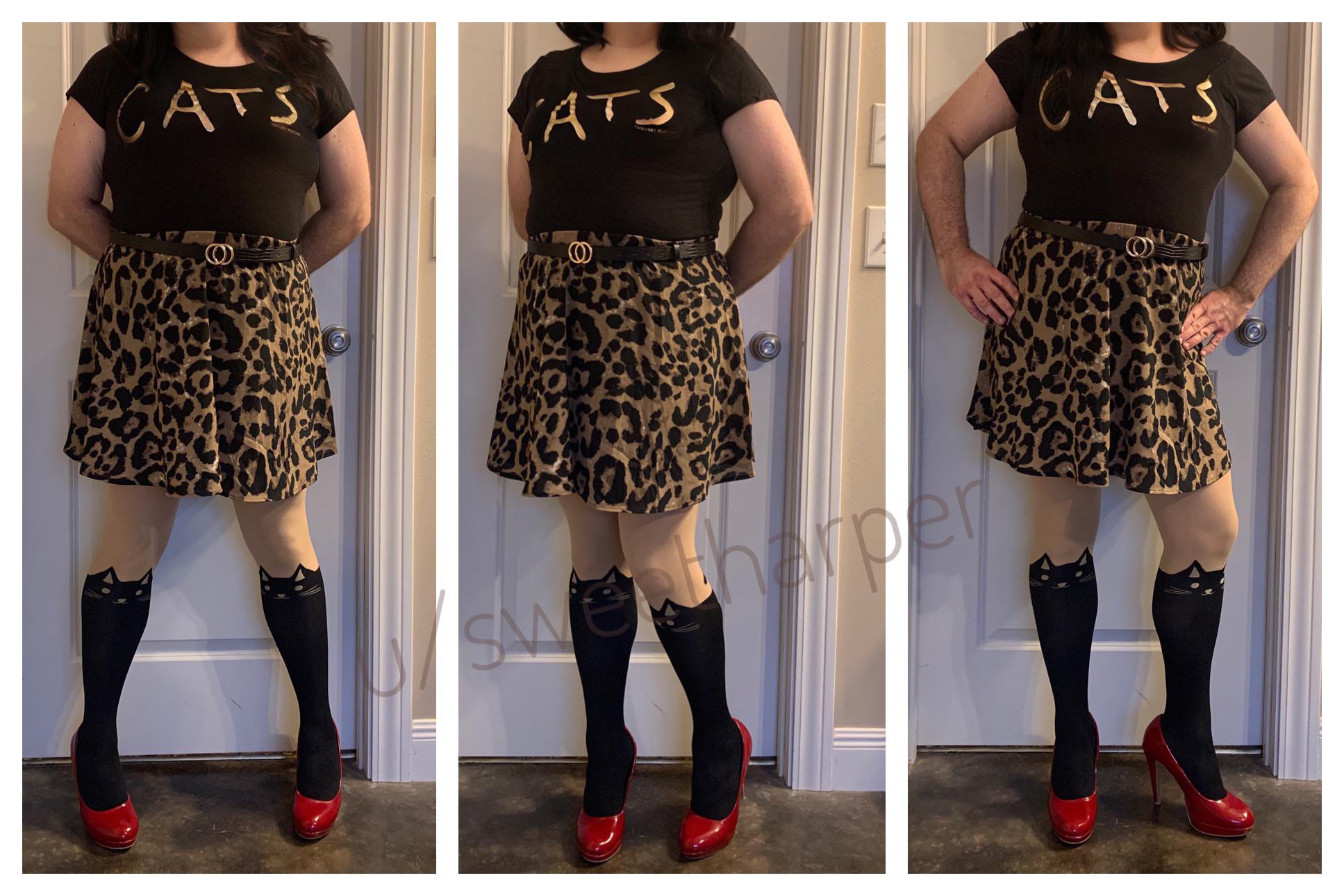 Feeling catty! Mee-yow! 😸 | Scrolller