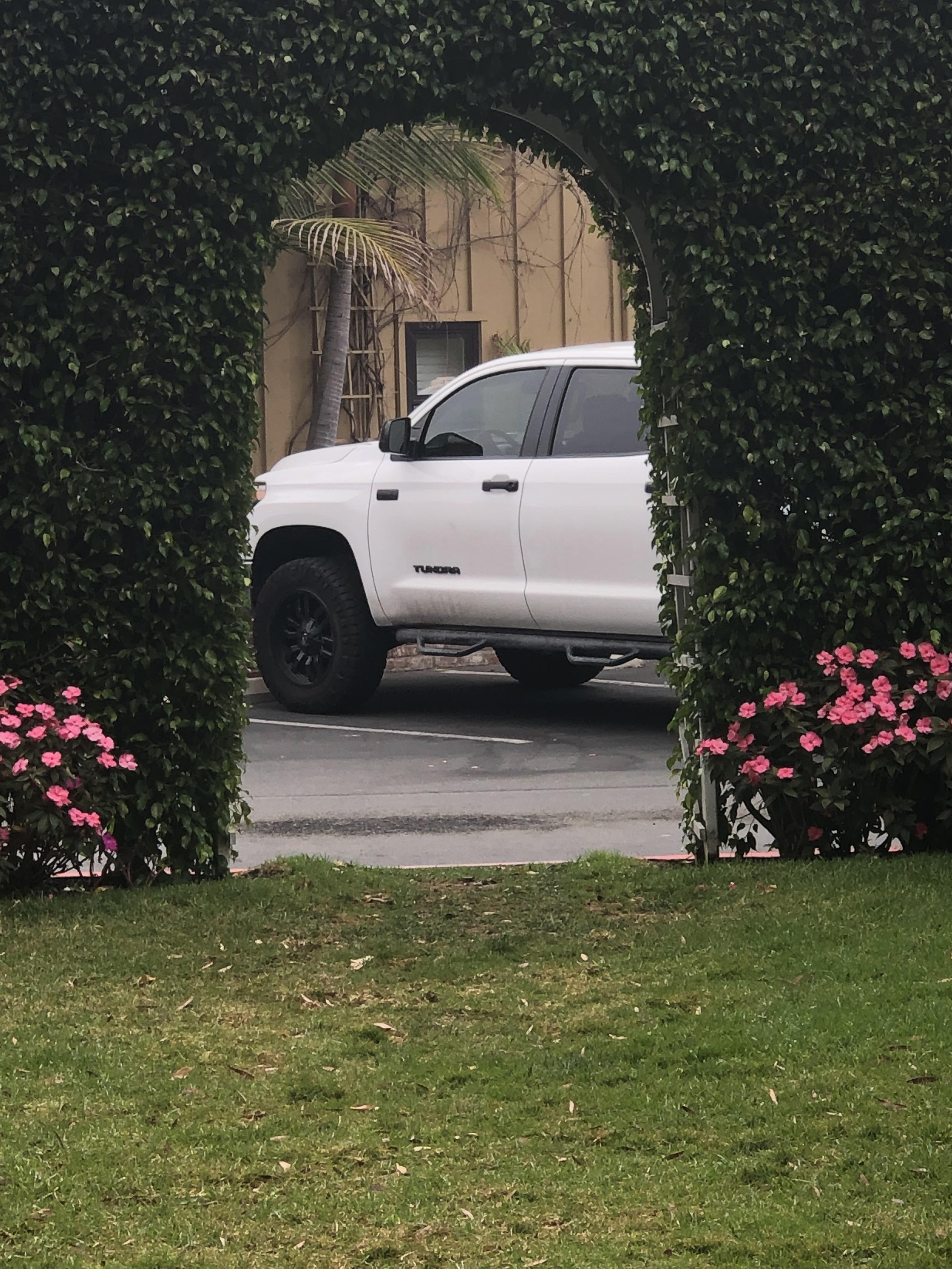 Feeling cute. Might delete later idk | Scrolller