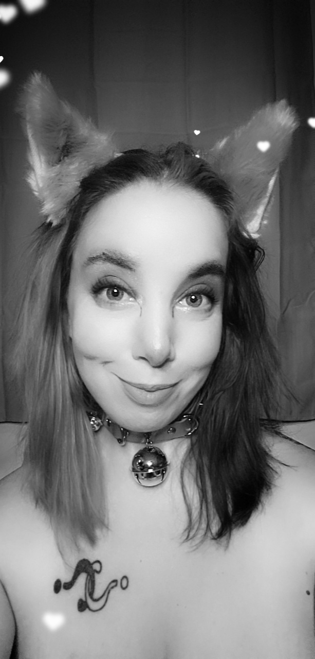 Feeling foxy | Scrolller