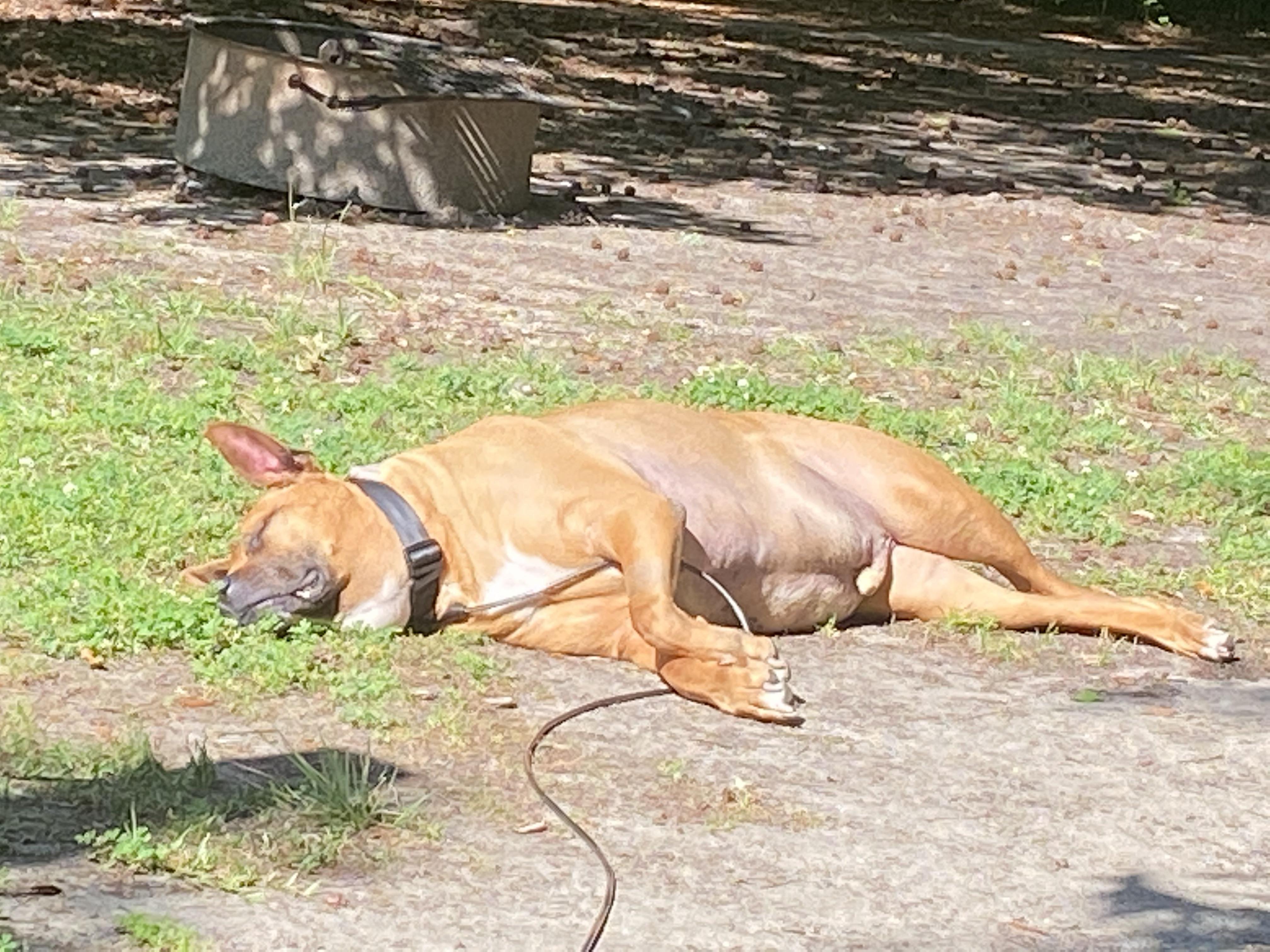 Feeling the Sun rays. | Scrolller