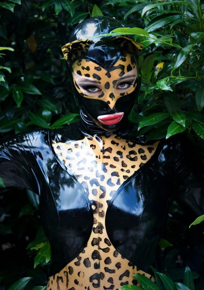 Felis Feral | Scrolller