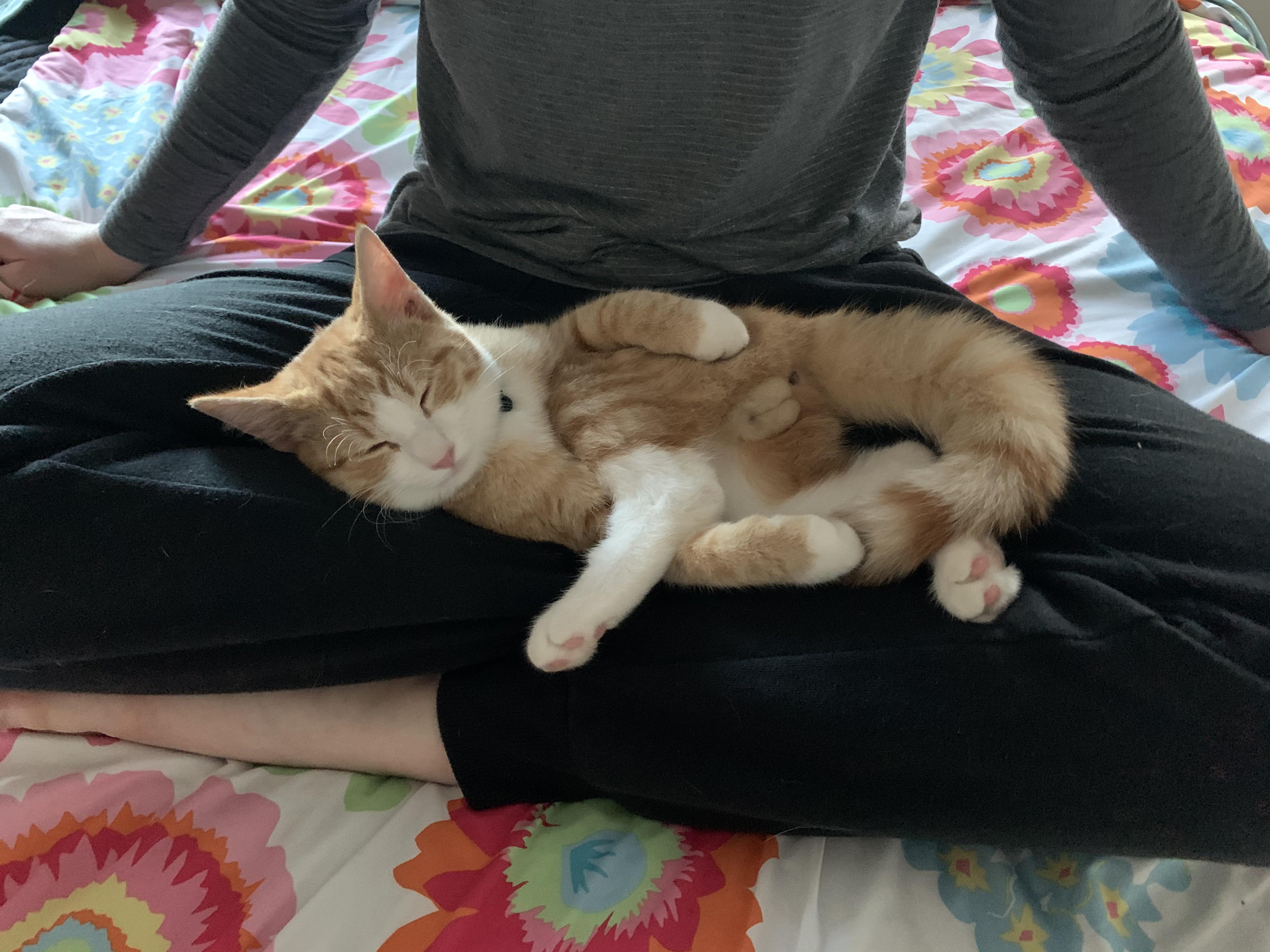 Fell asleep during his bath. | Scrolller