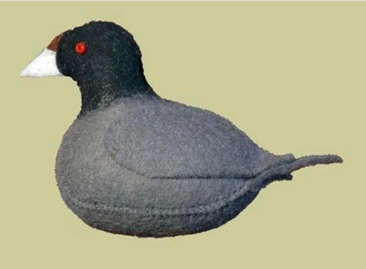Felt coot, might delete later | Scrolller