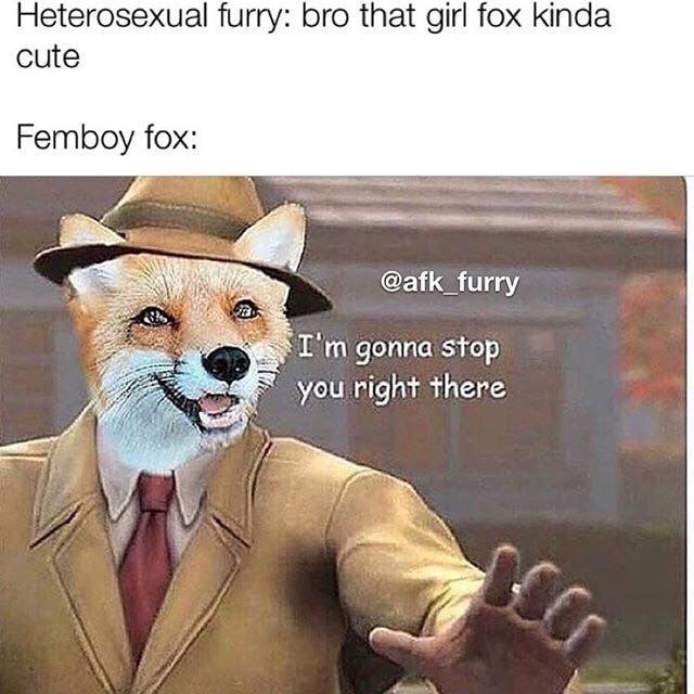Femboy fox | Scrolller