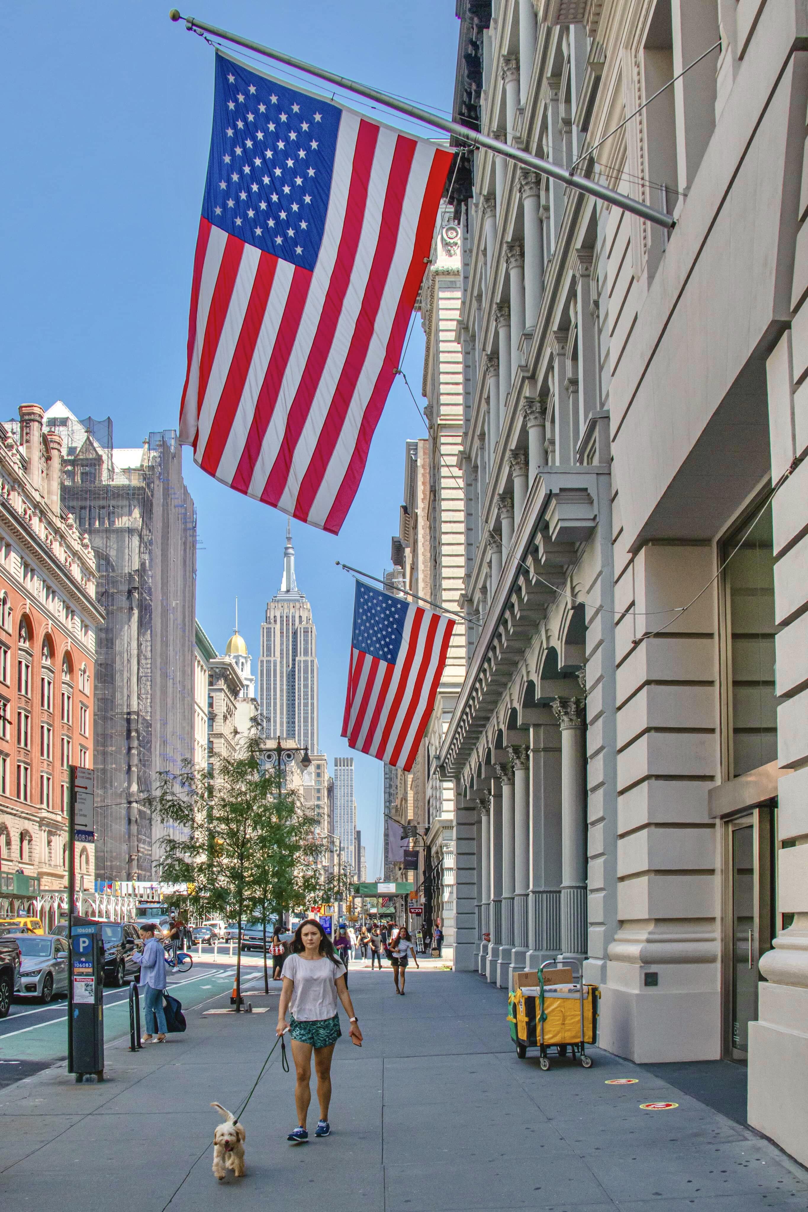 Fifth Avenue, NYC | Scrolller