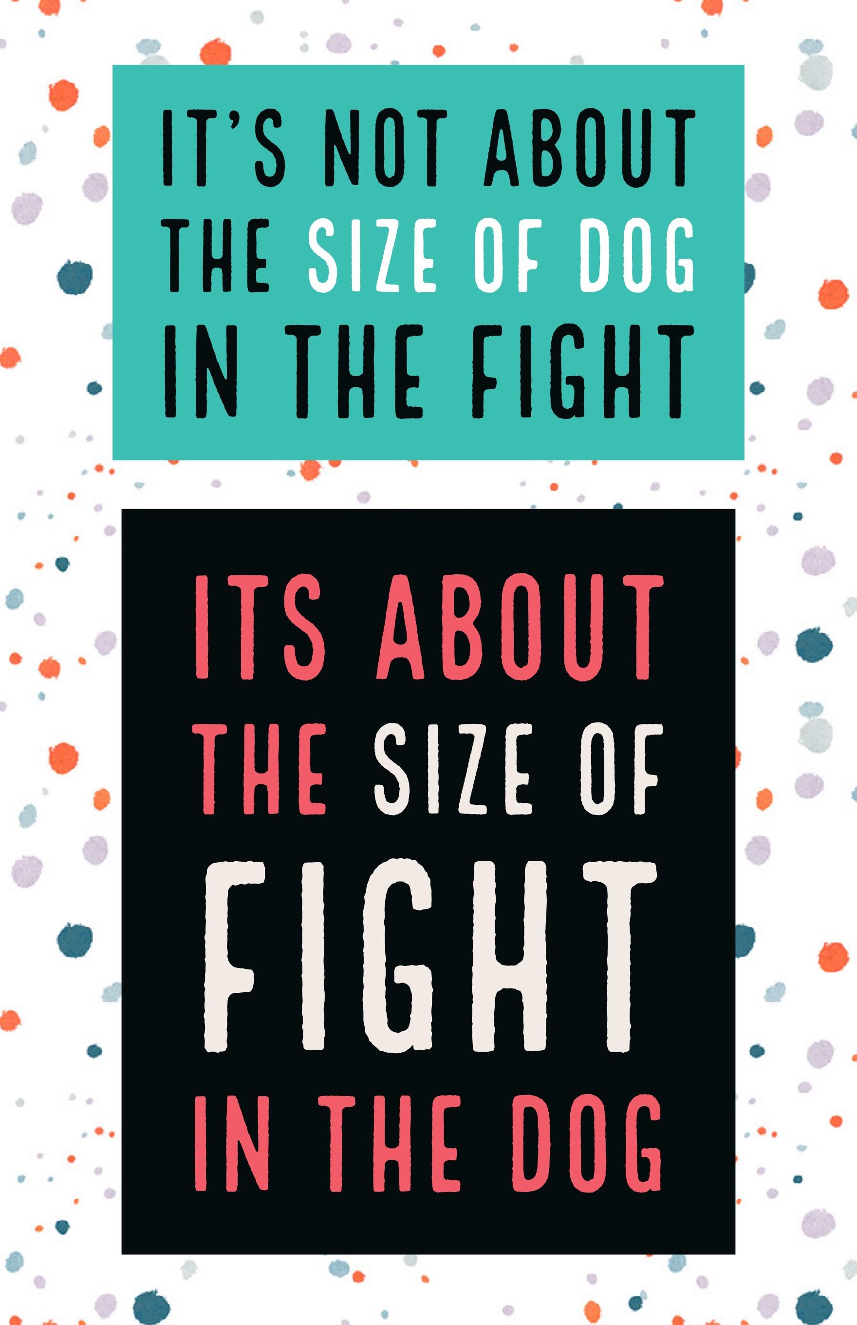 Fight 👊 | Scrolller