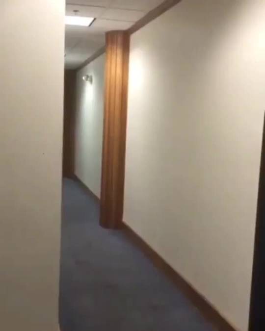 Fighting a Wall | Scrolller