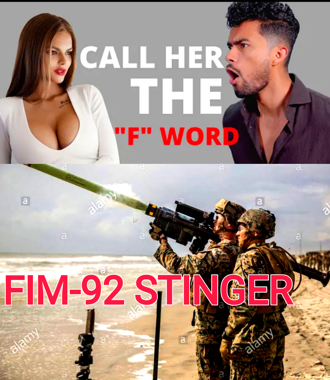 FIM-92 STINGER stripping and blowing away | Scrolller