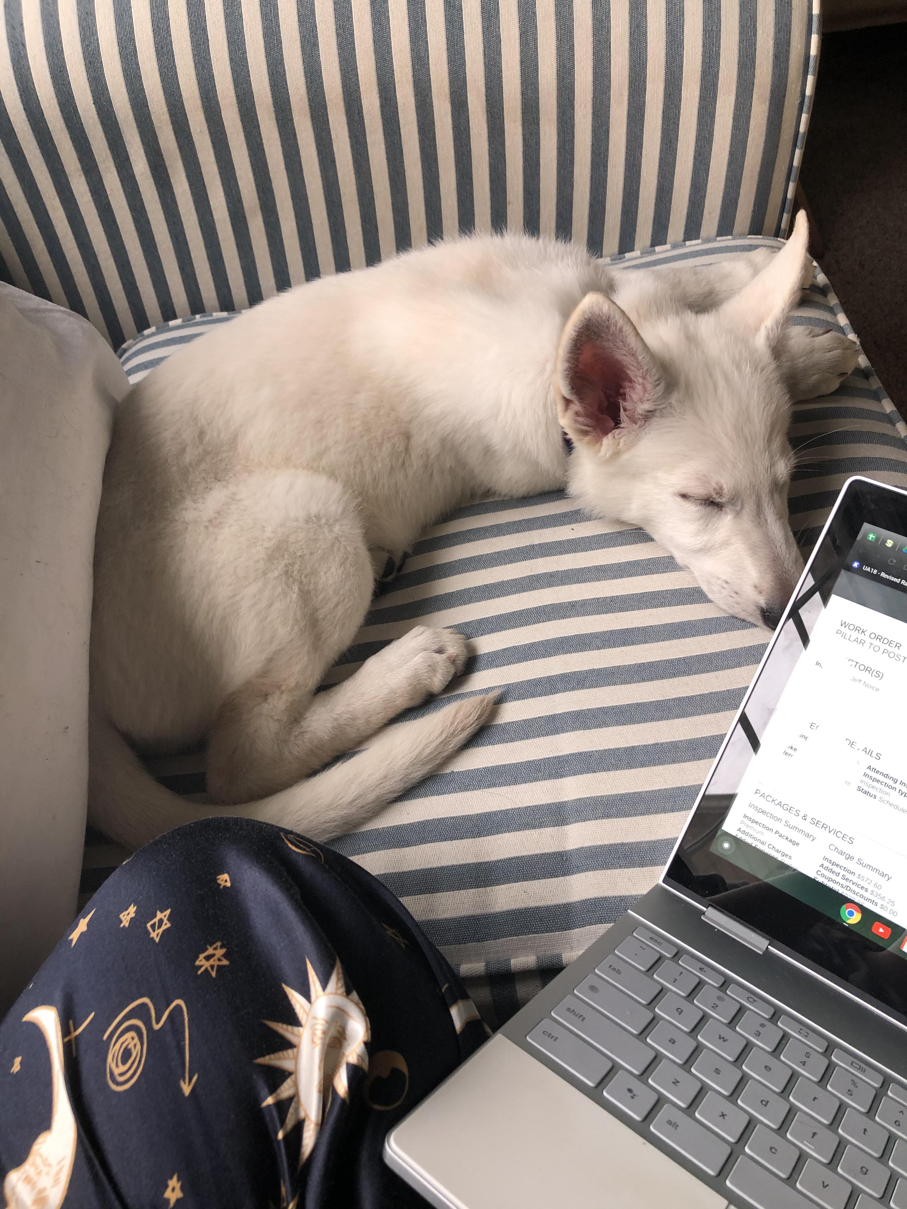 Finally got her to nap. | Scrolller