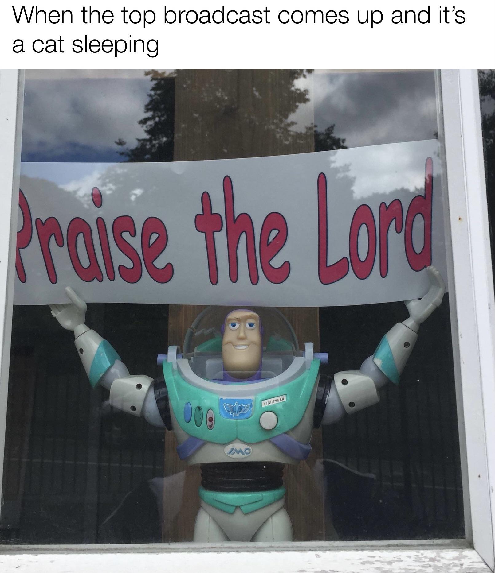 Finally, some good content | Scrolller