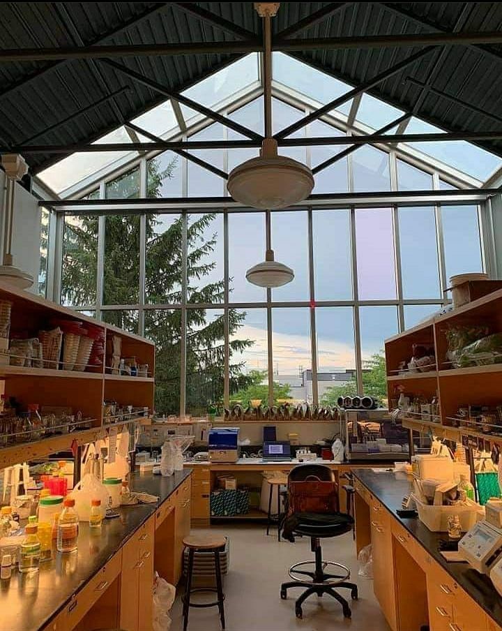 Find a more beautiful one and fail miserably | Scrolller