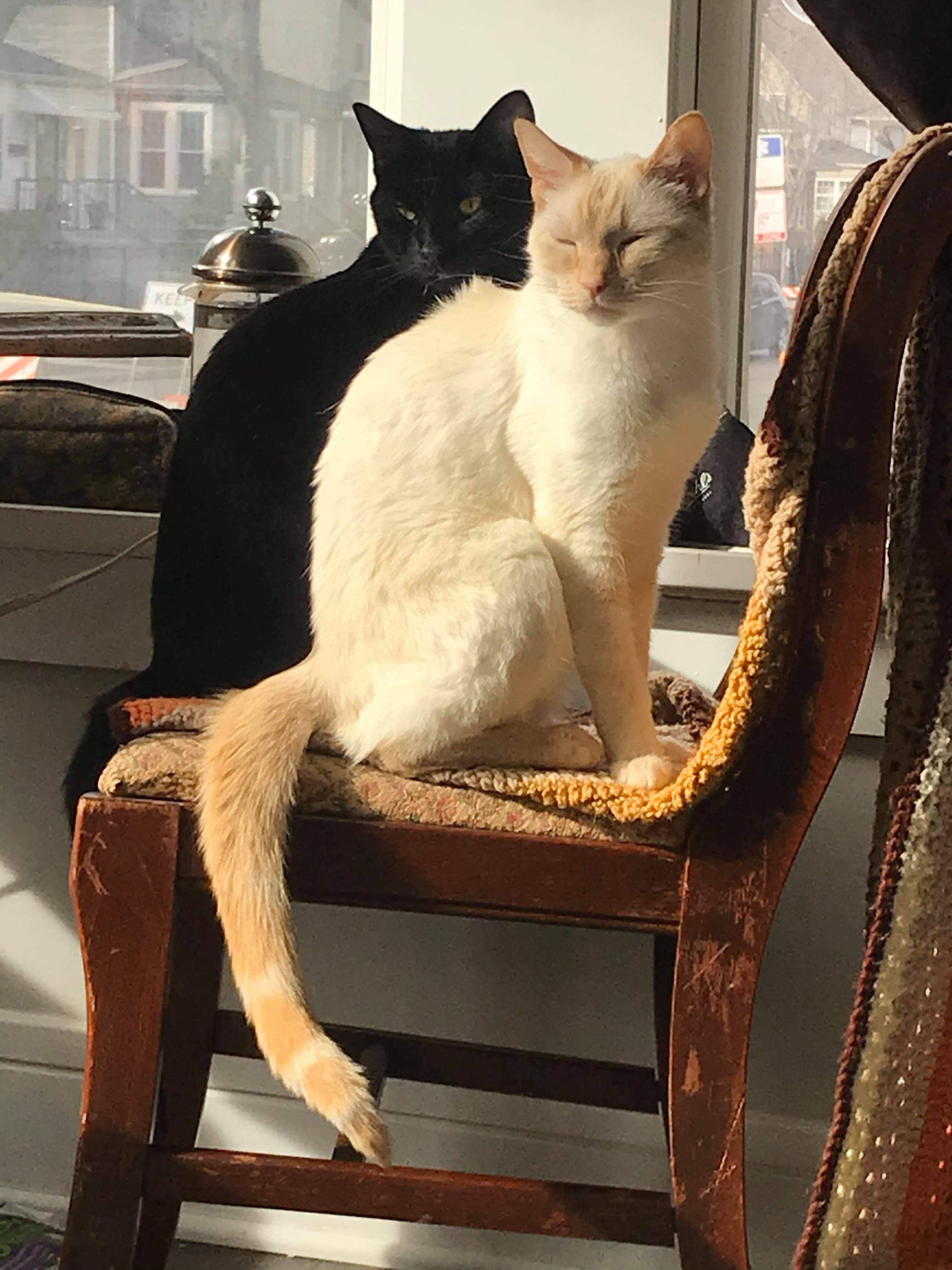 Finn and his shadow Bmo | Scrolller