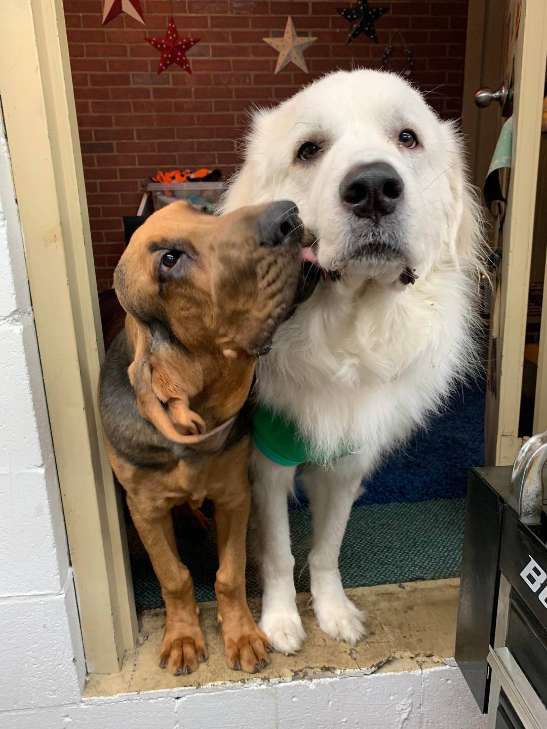 Finn and Kenny getting intimate | Scrolller