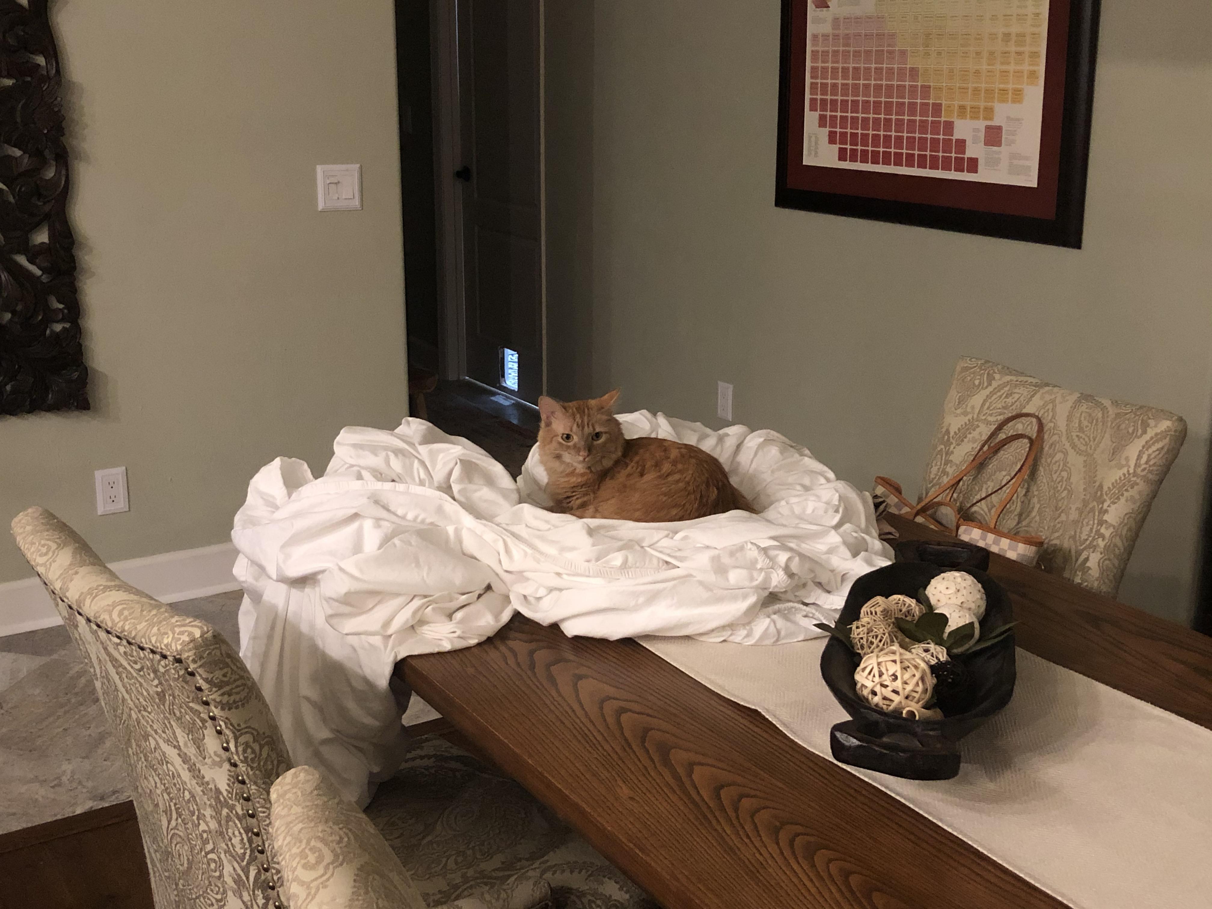 Finn wins on a technicality. | Scrolller