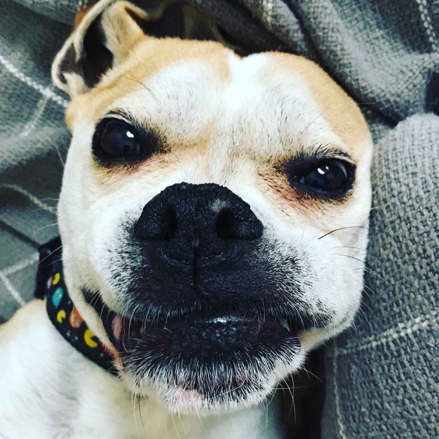 Finny and his crooked grin. | Scrolller