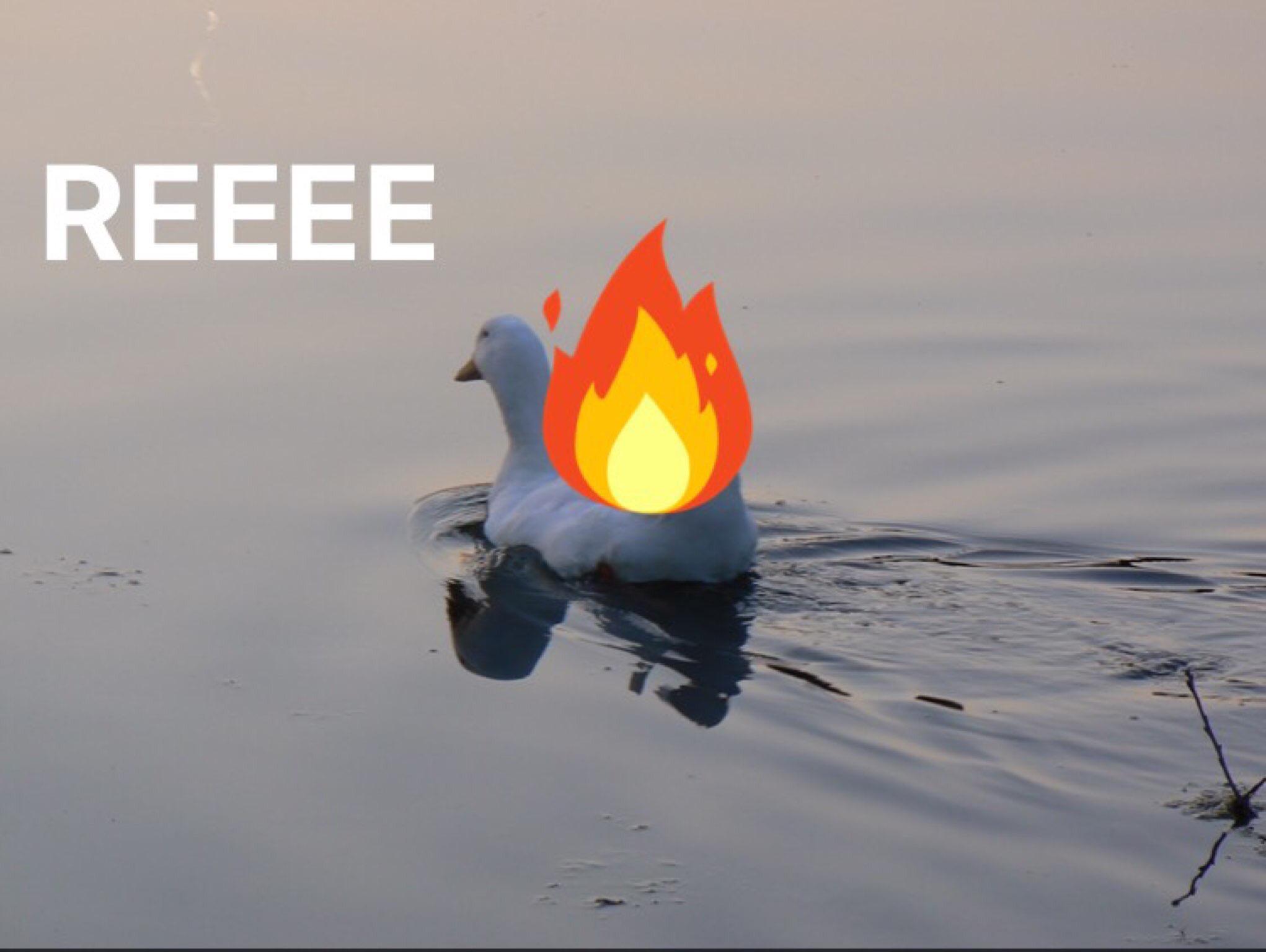 Fire_Irl | Scrolller