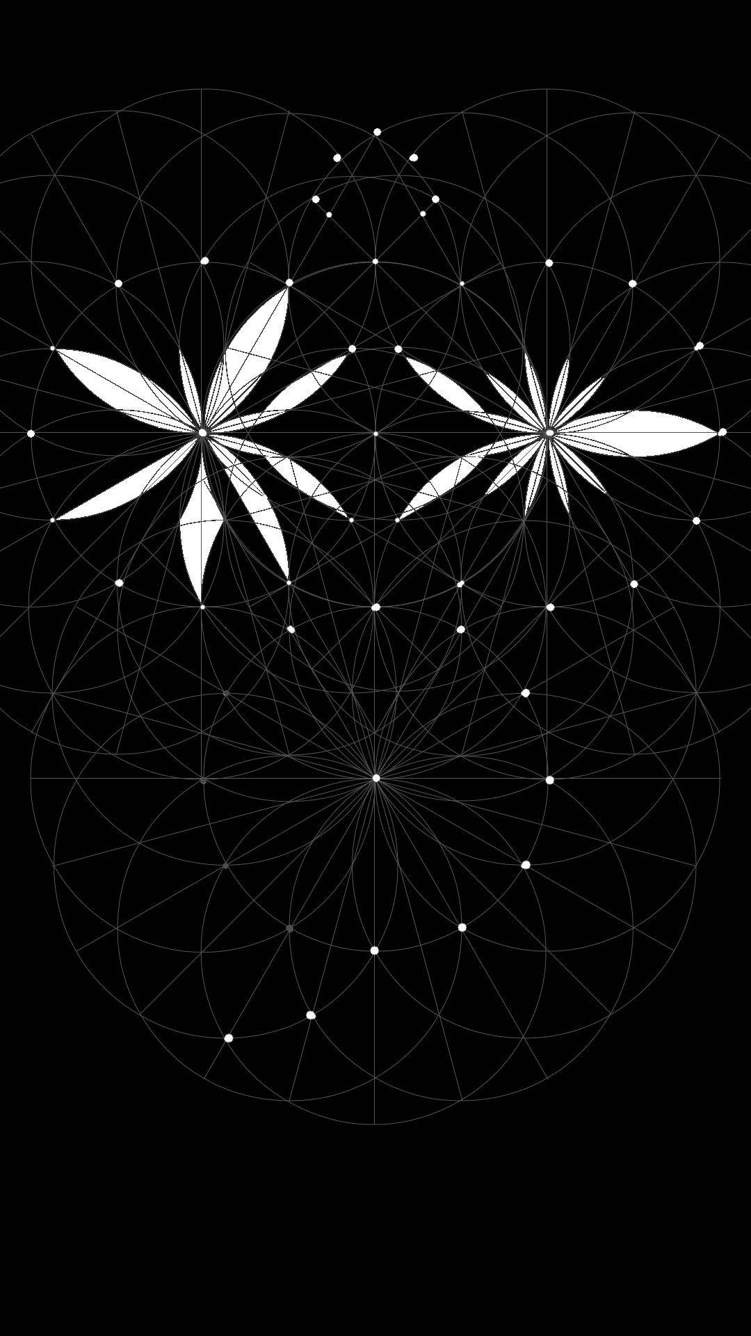 Fireflies | Scrolller