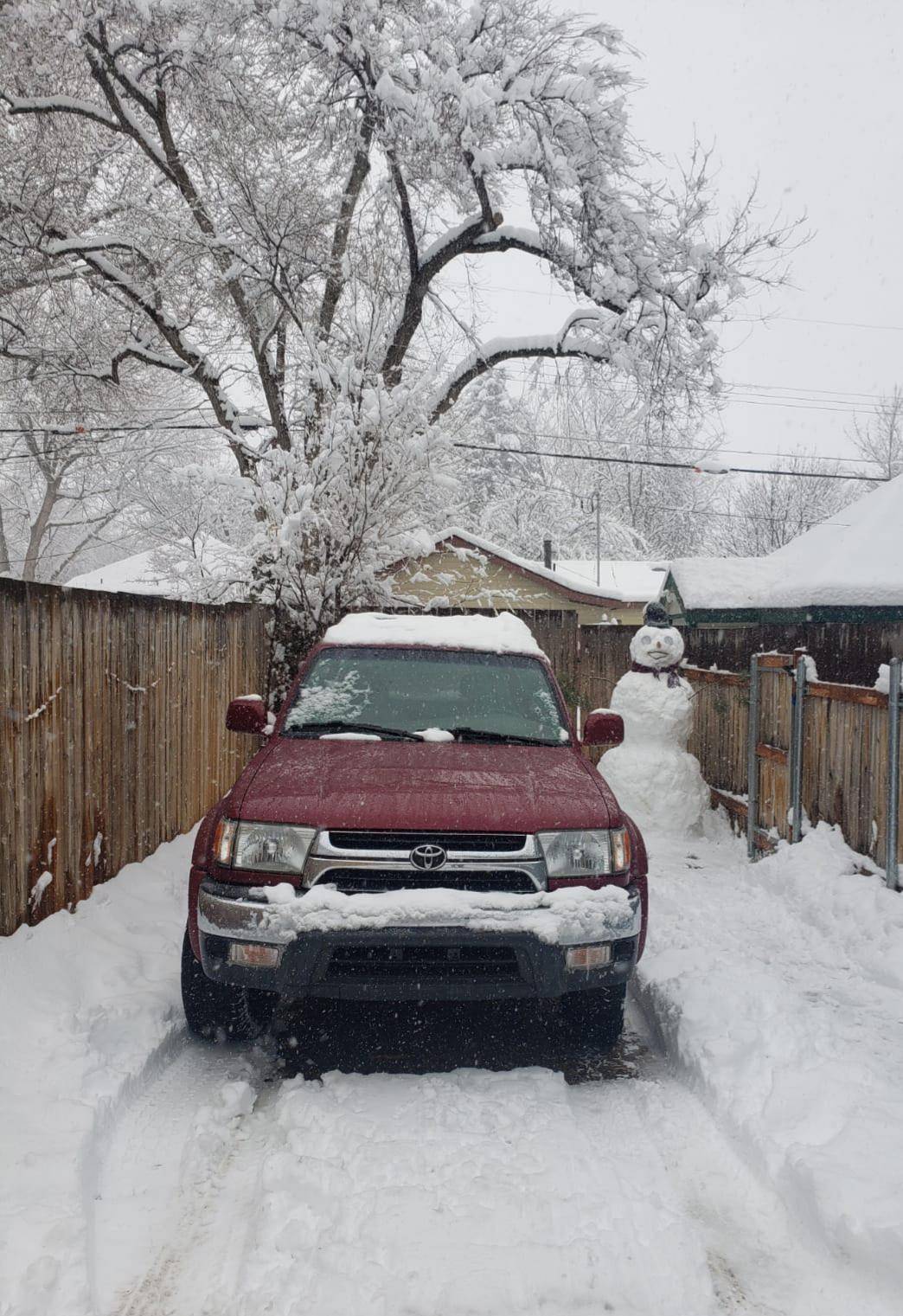 First big snowfall of the year. | Scrolller