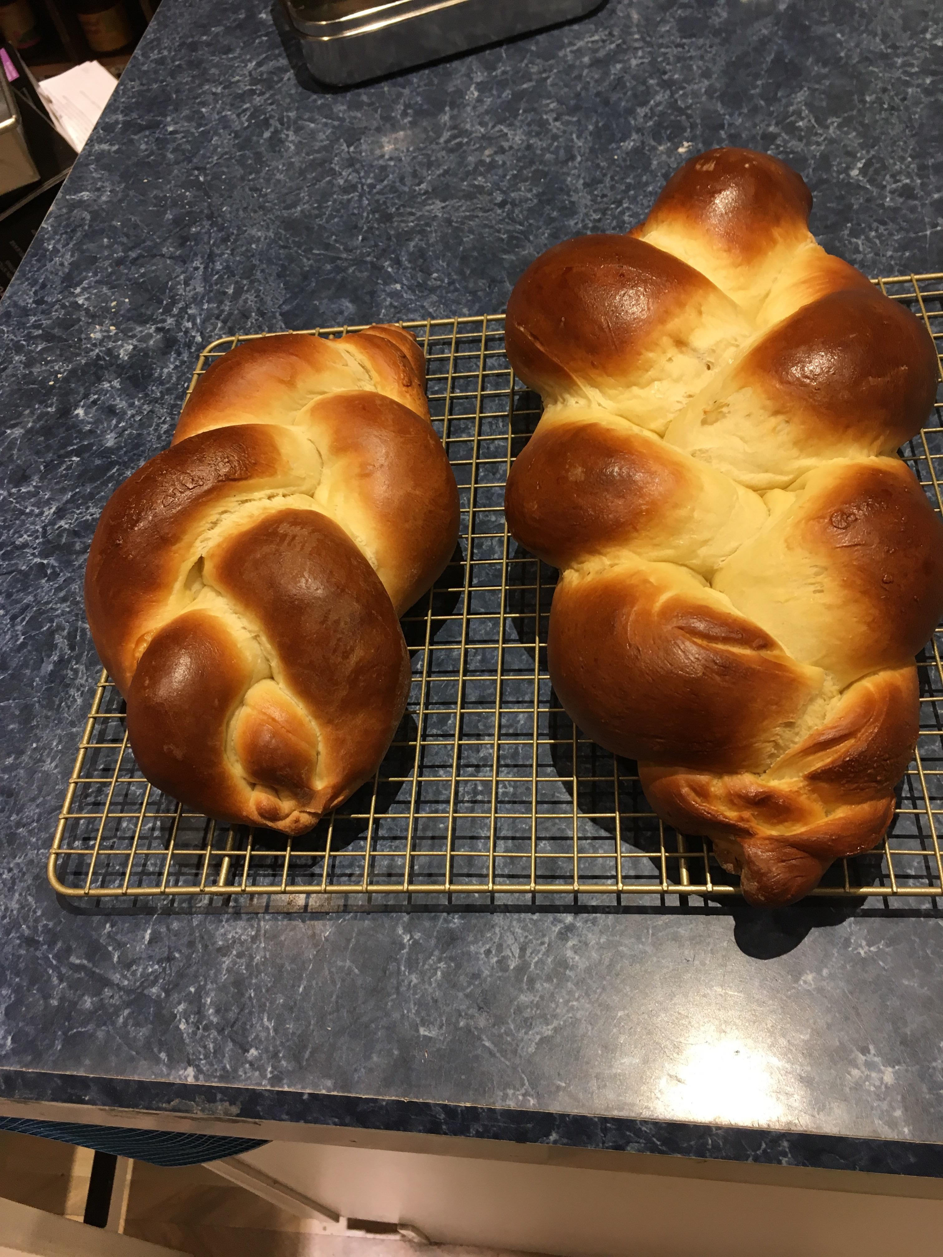 first ever challah loaves! no idea how they taste yet but crossing my fingers | Scrolller