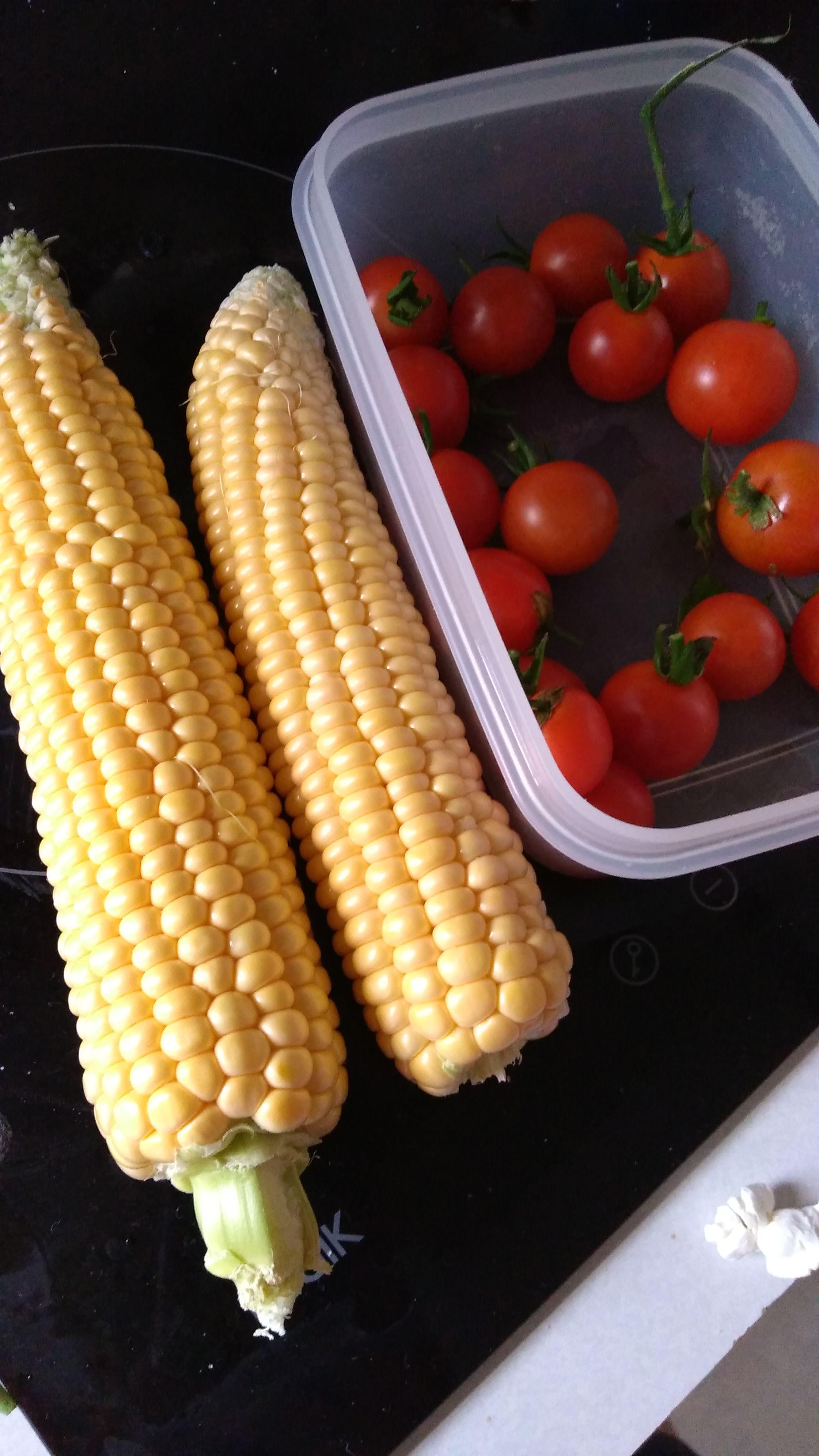 First ever corn on the cob! | Scrolller