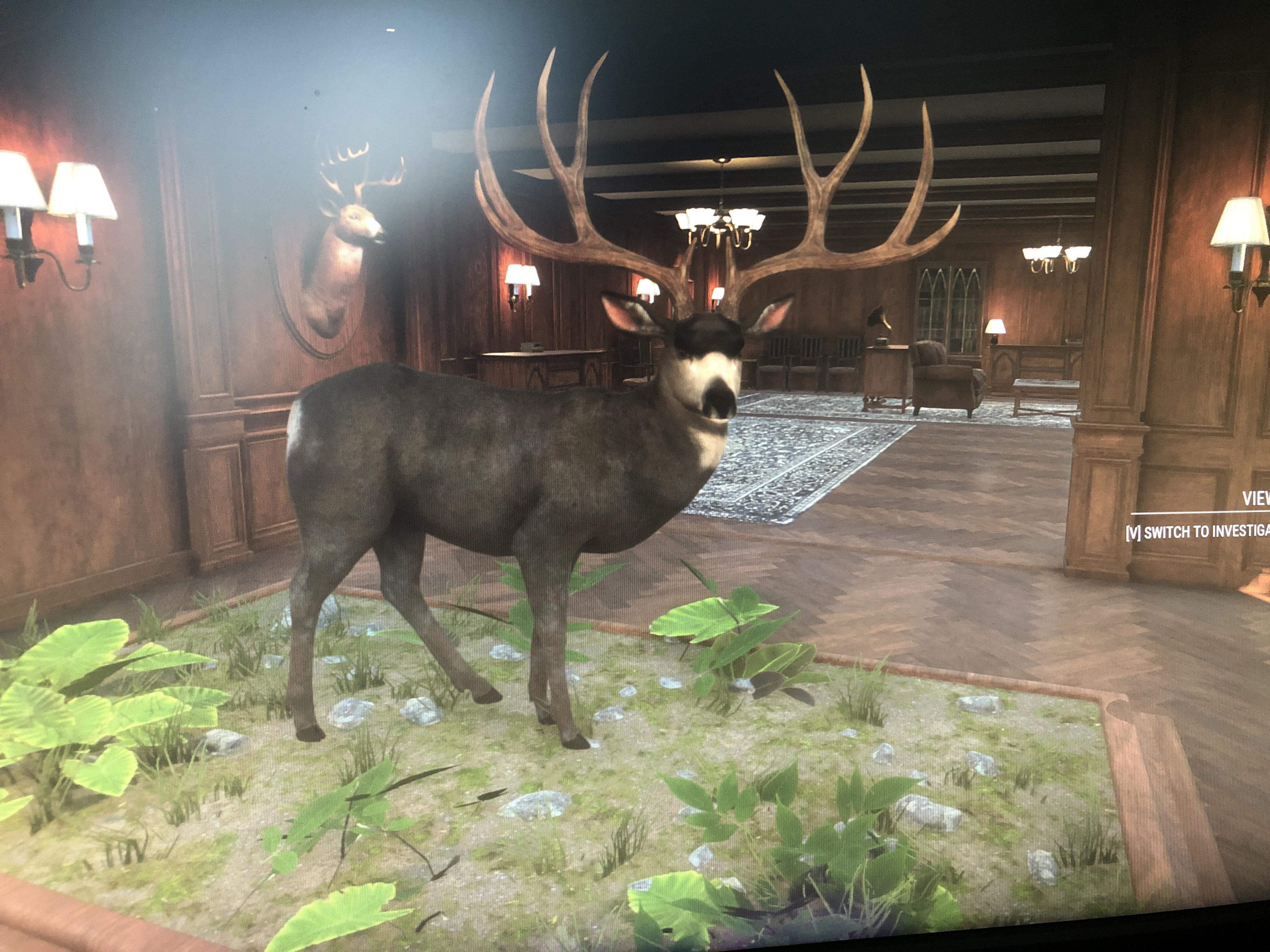First Ever Diamond level 6 Mule deer | Scrolller