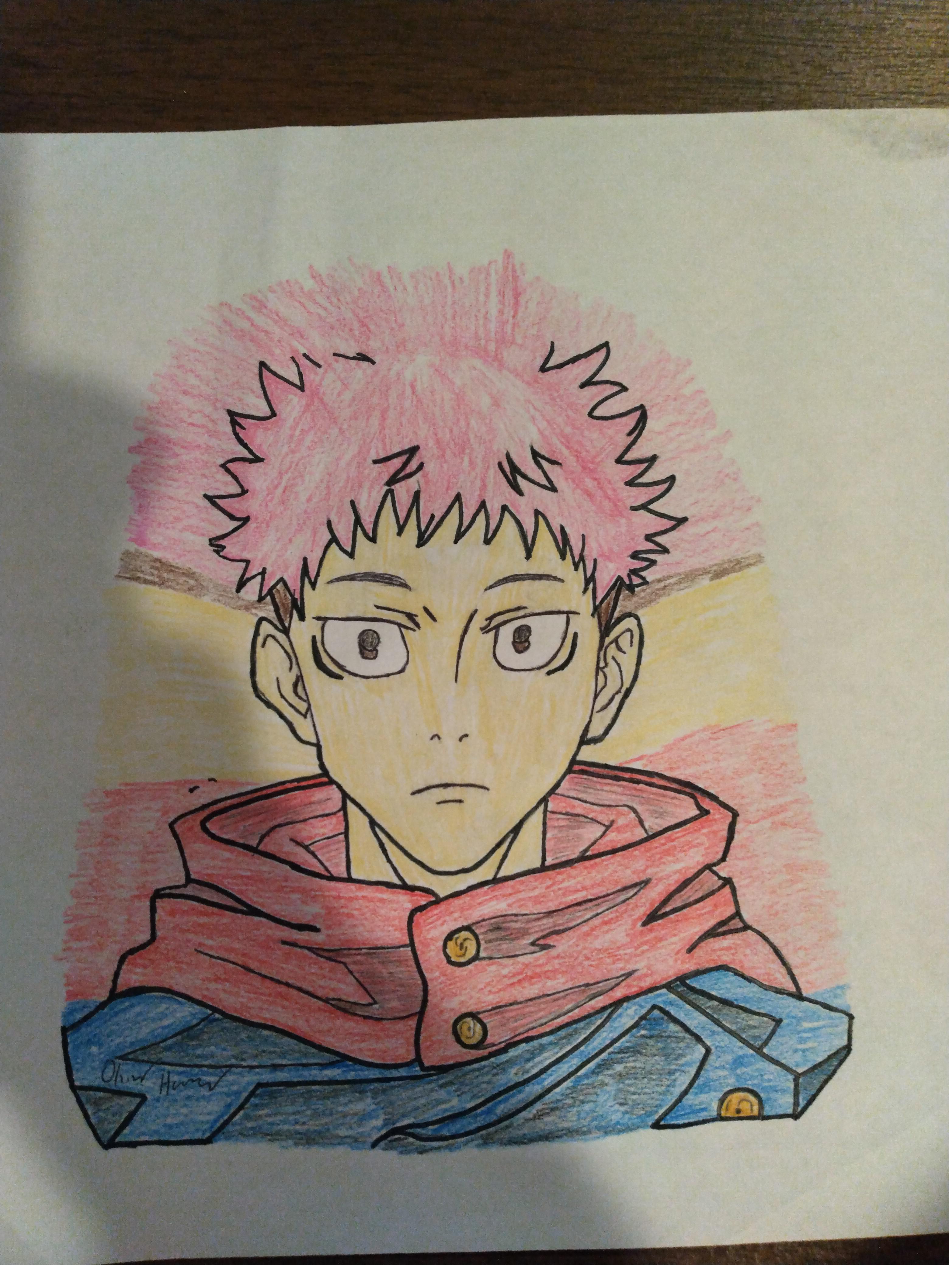 First finished attempt at Itadori. Took me a while | Scrolller