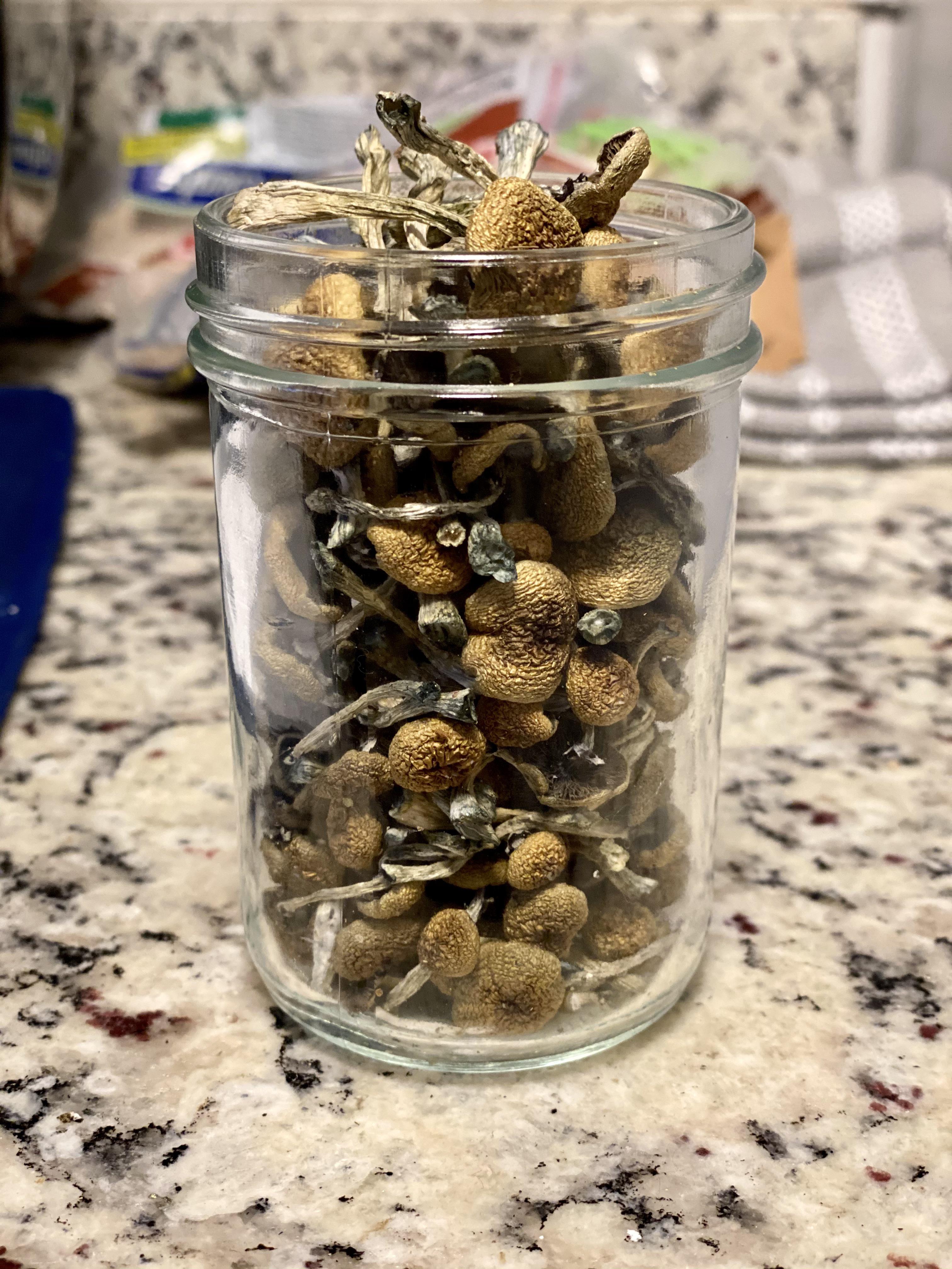 First flush. B+ 🥳 | Scrolller