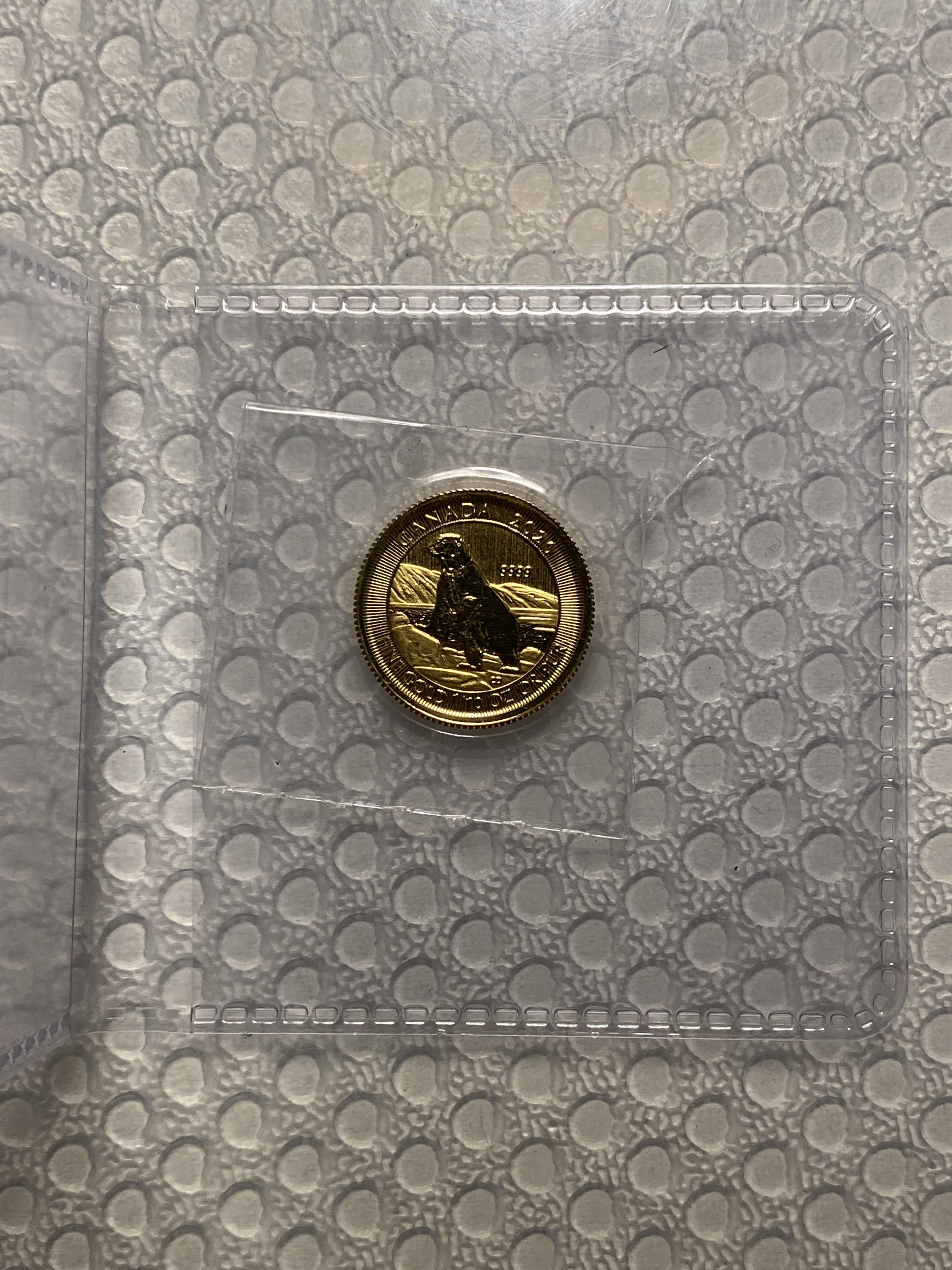 First Gold Coin 1/10 oz Polar Bear | Scrolller