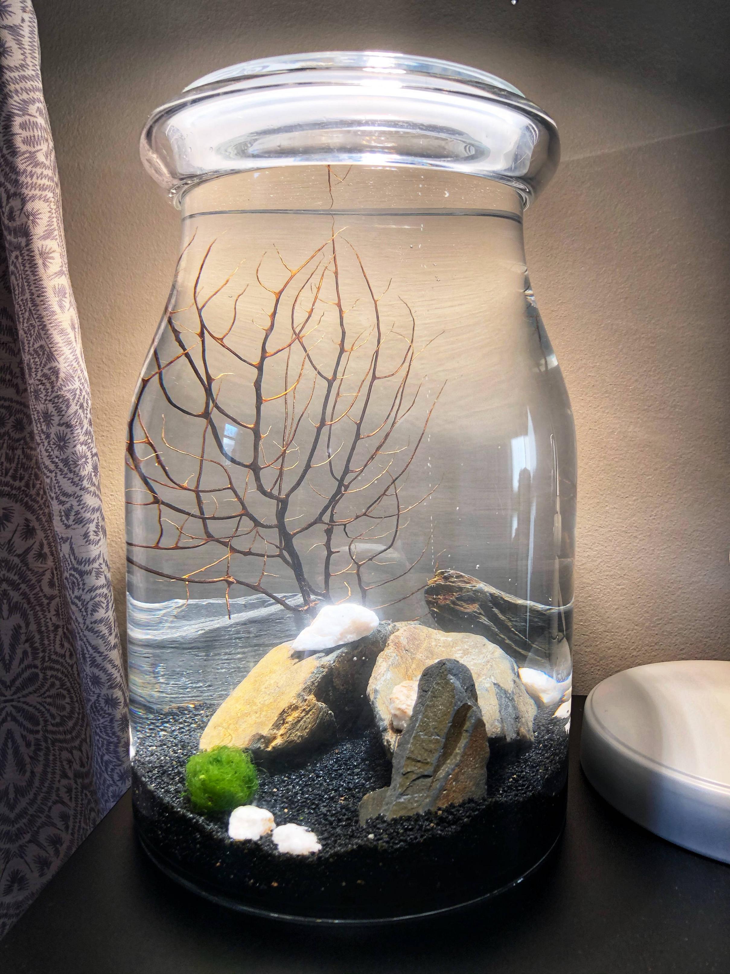 First Jar Filled! | Scrolller