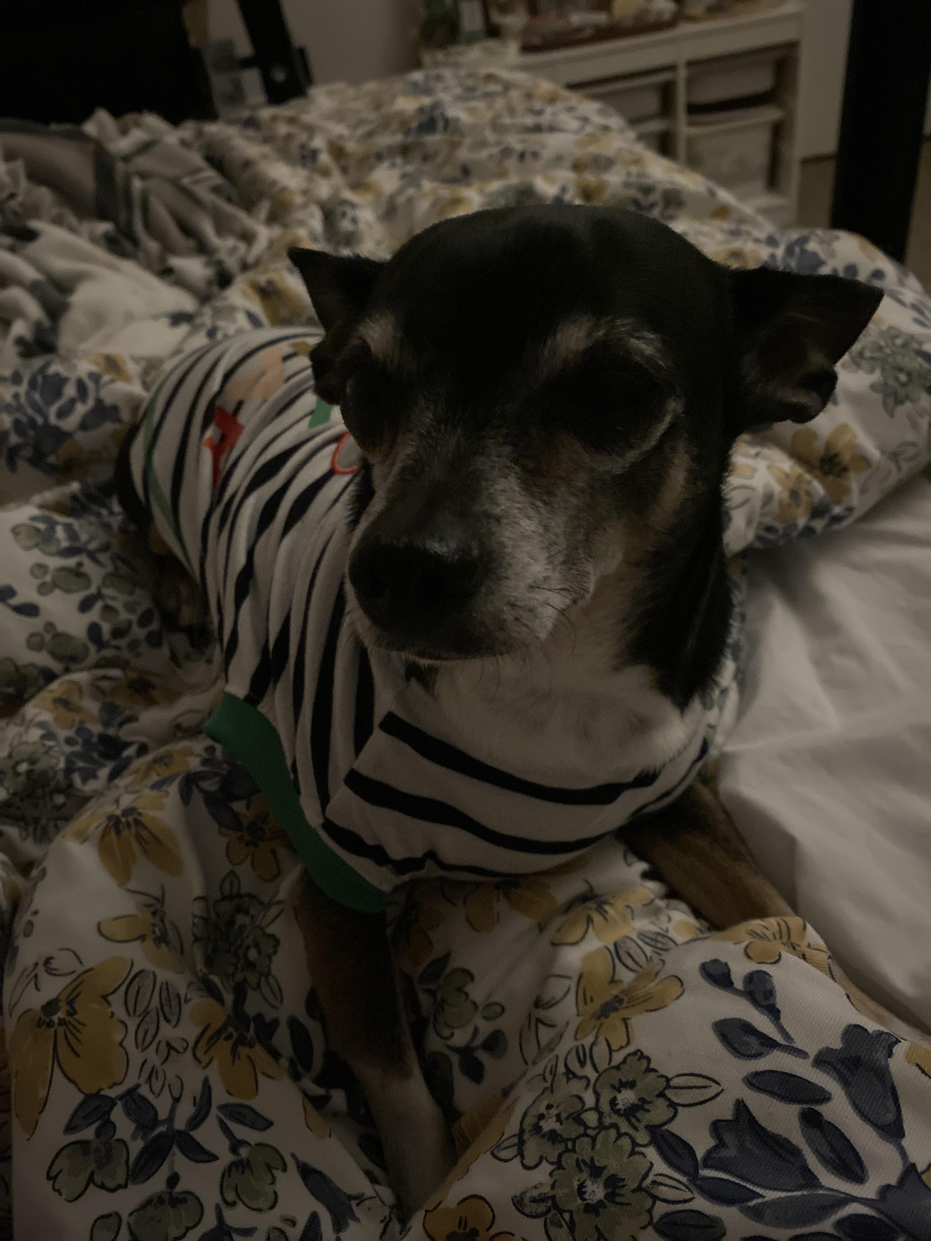 First night on Reddit | Scrolller