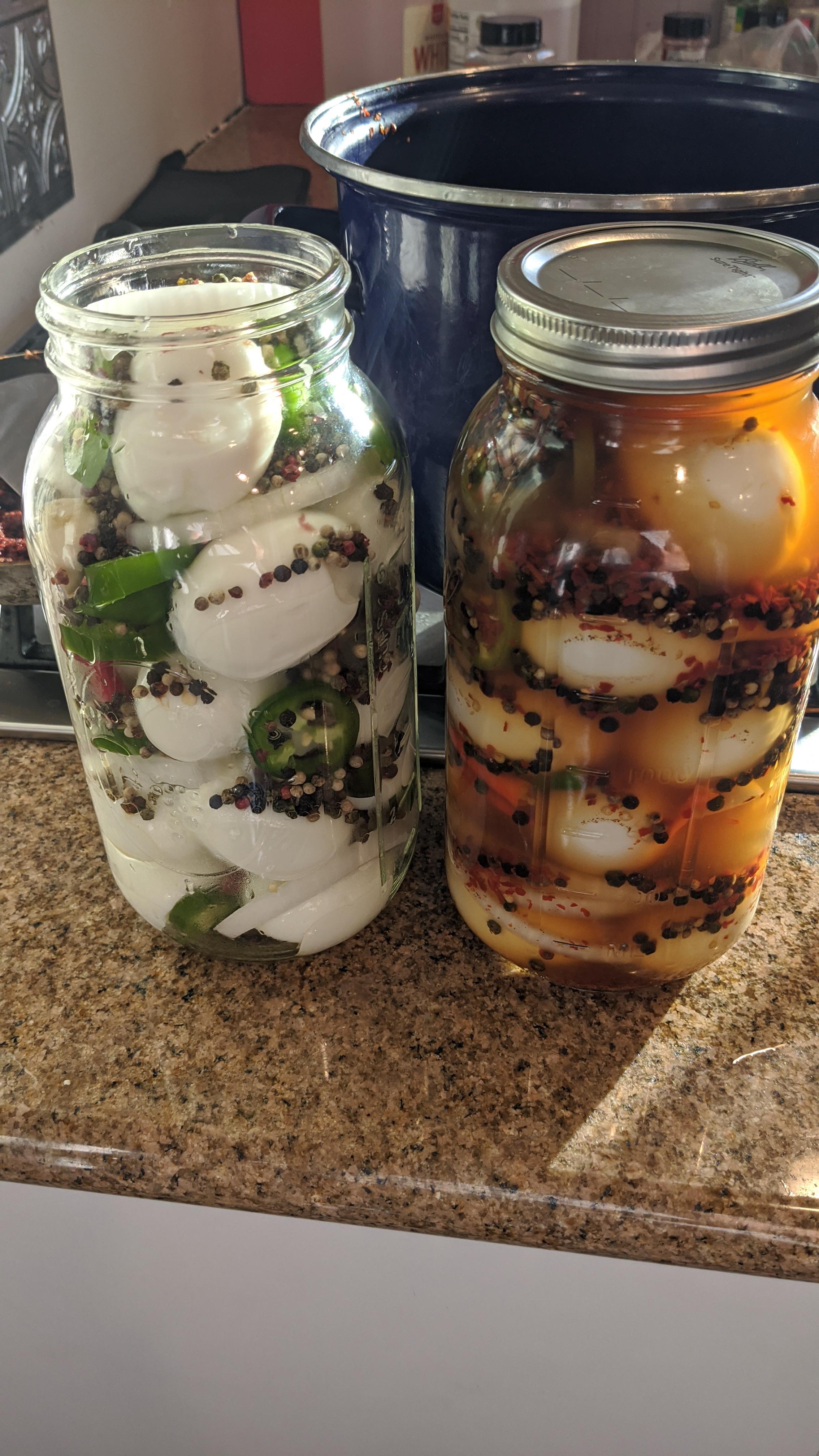 First Non-cucumber and non-jalapeno pickle | Scrolller