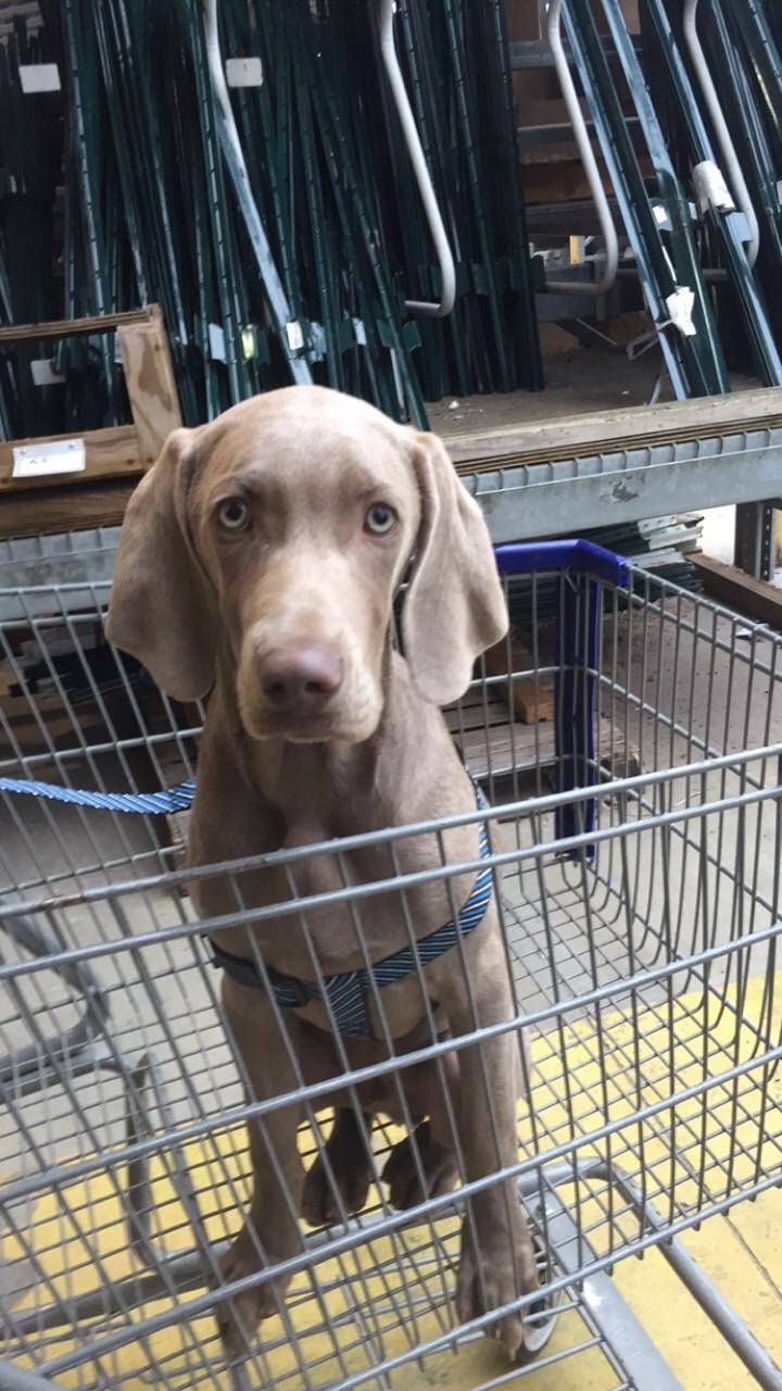 First Outing 😍 | Scrolller