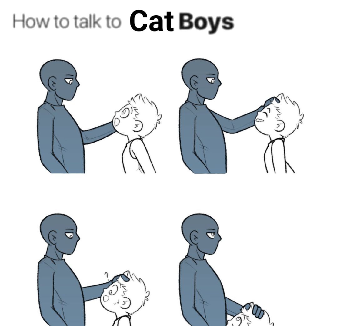 Discover more like Catboy: First Post 😎 and Related Content | Scrolller