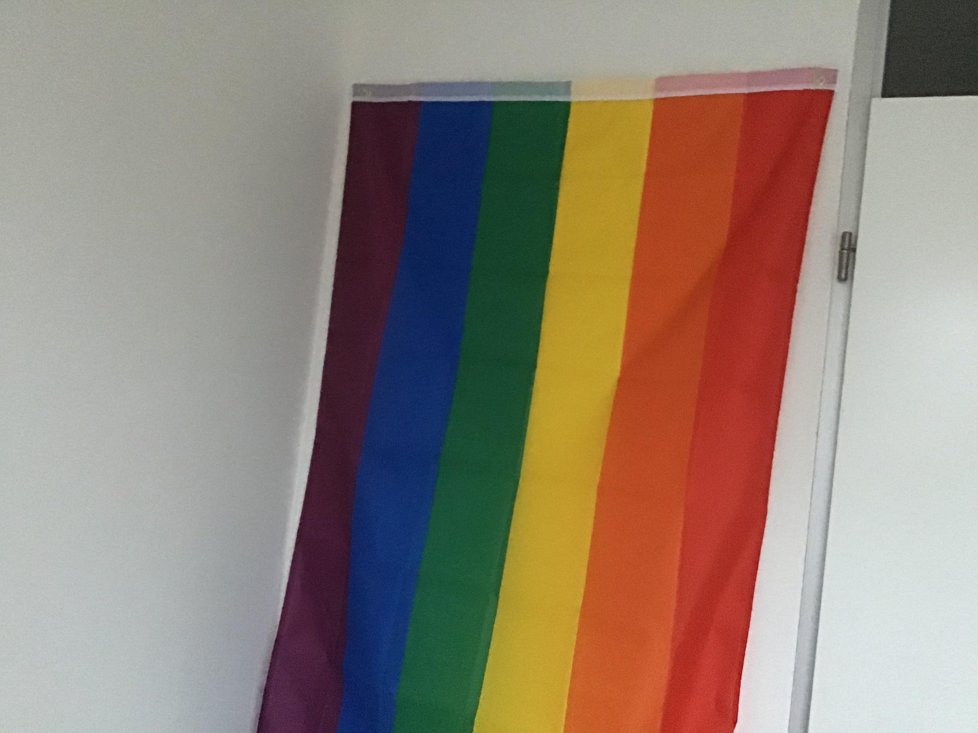 First pride flag! | Scrolller
