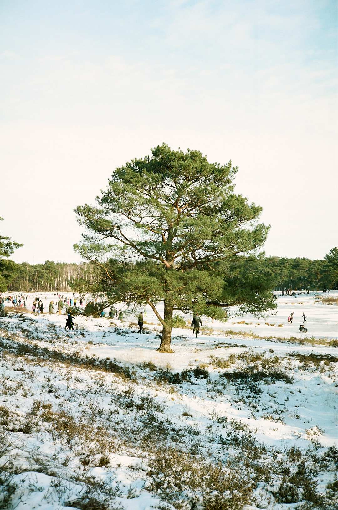 First roll out of my Yashica Electro 35GSN - Portra 160 shot at 100 | Scrolller