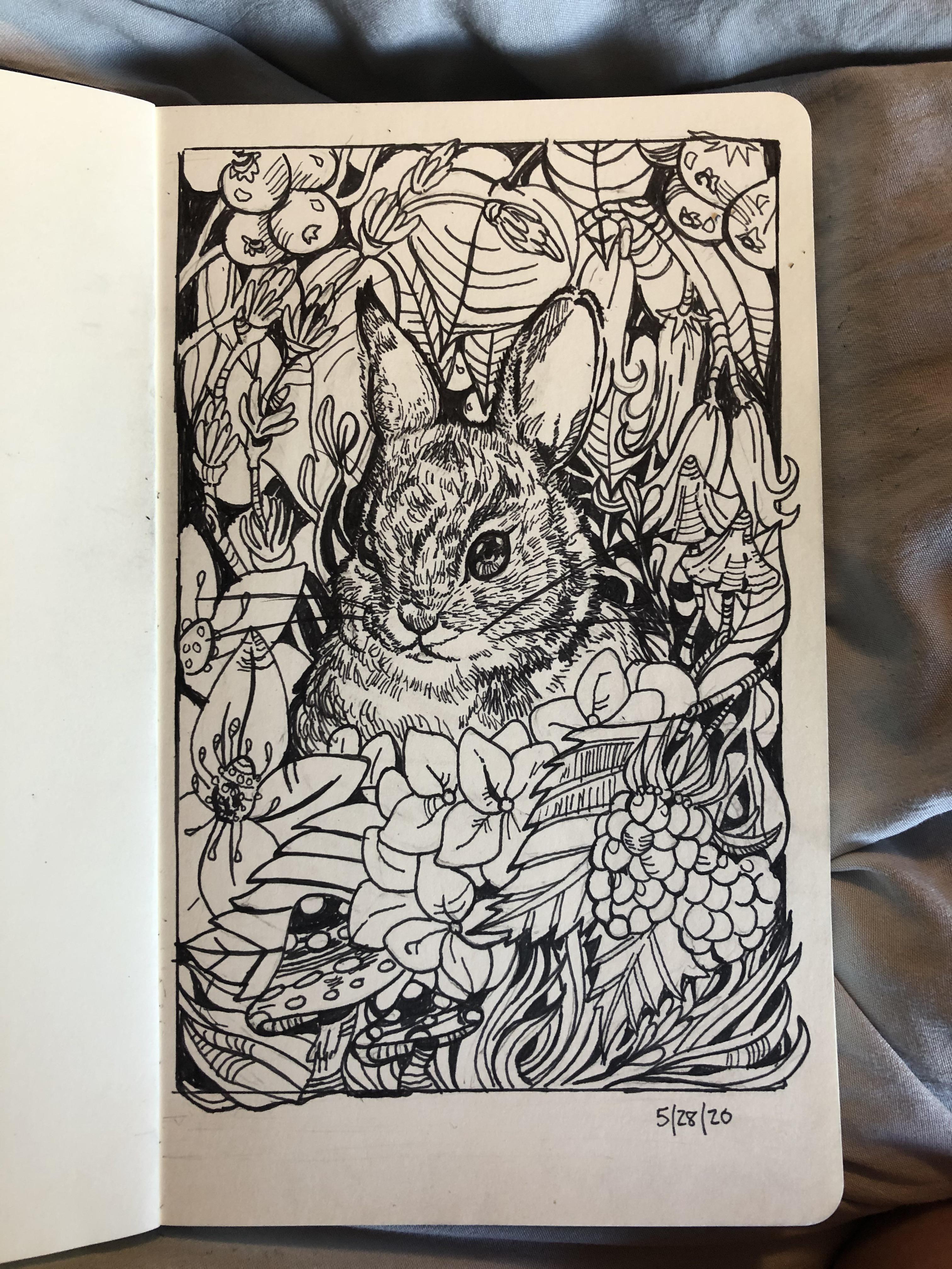 First sketch in a new sketchbook! | Scrolller