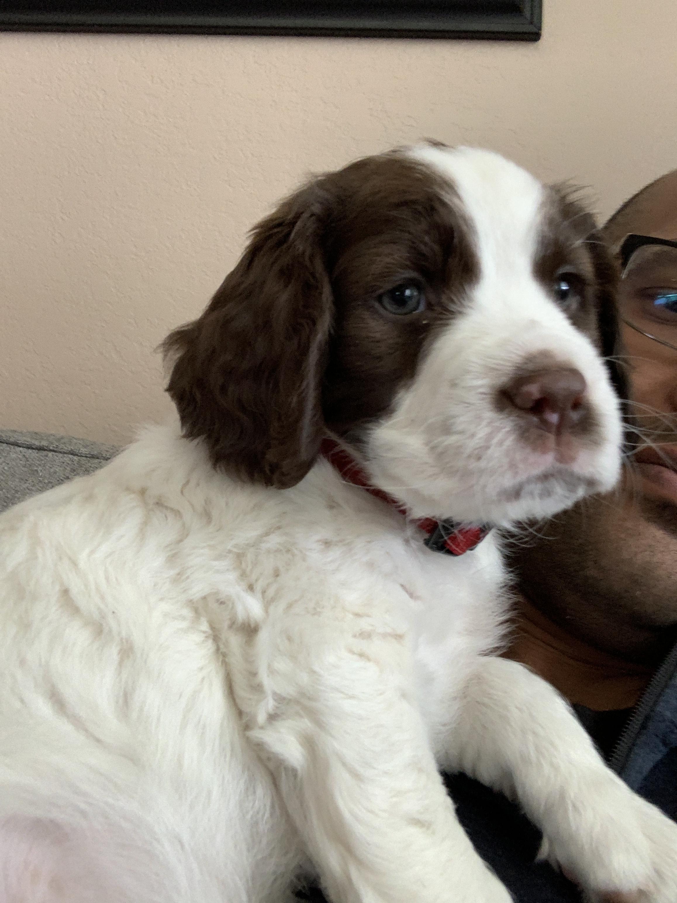 First Springer! | Scrolller