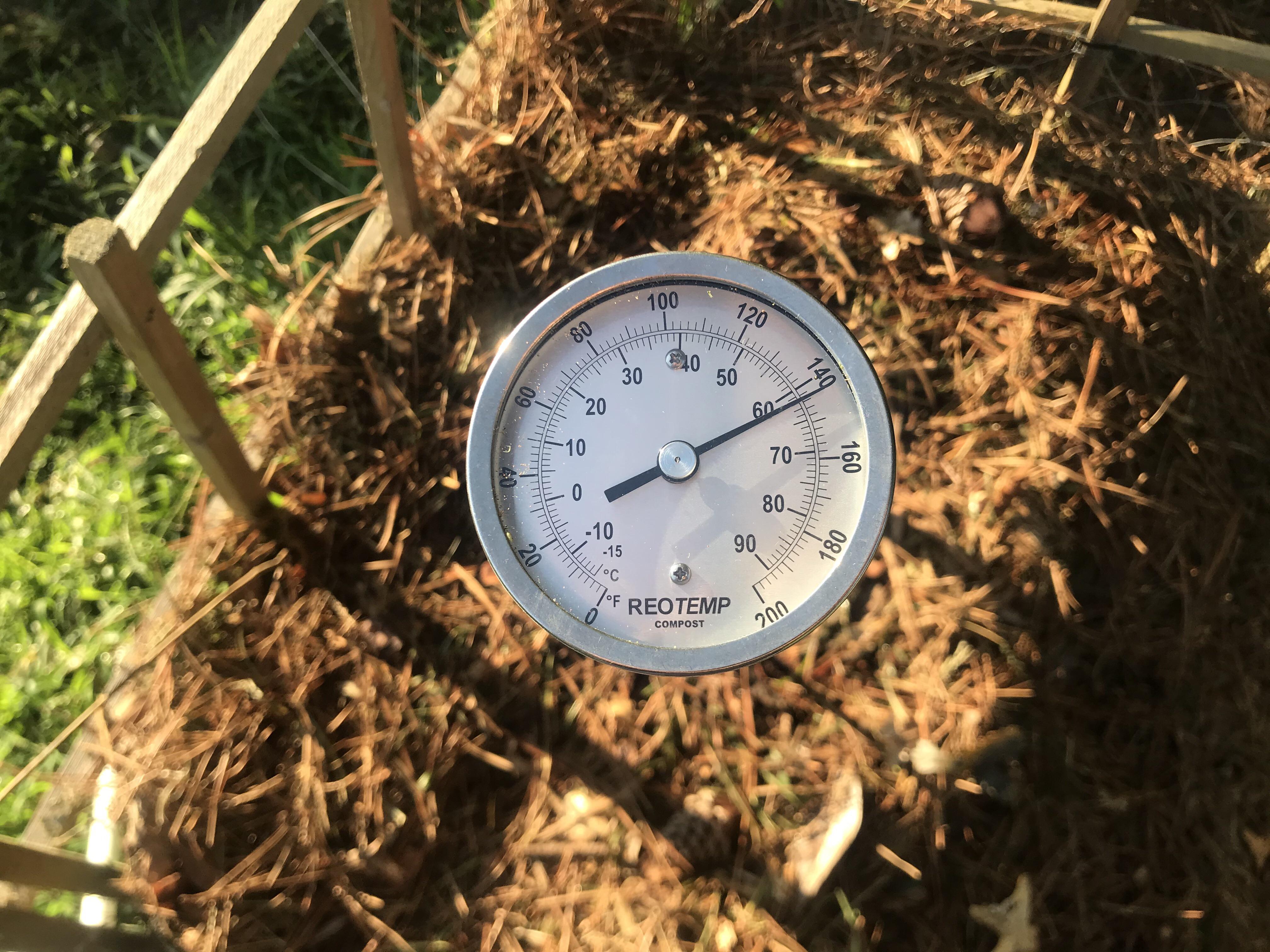 First successful hot compost! | Scrolller