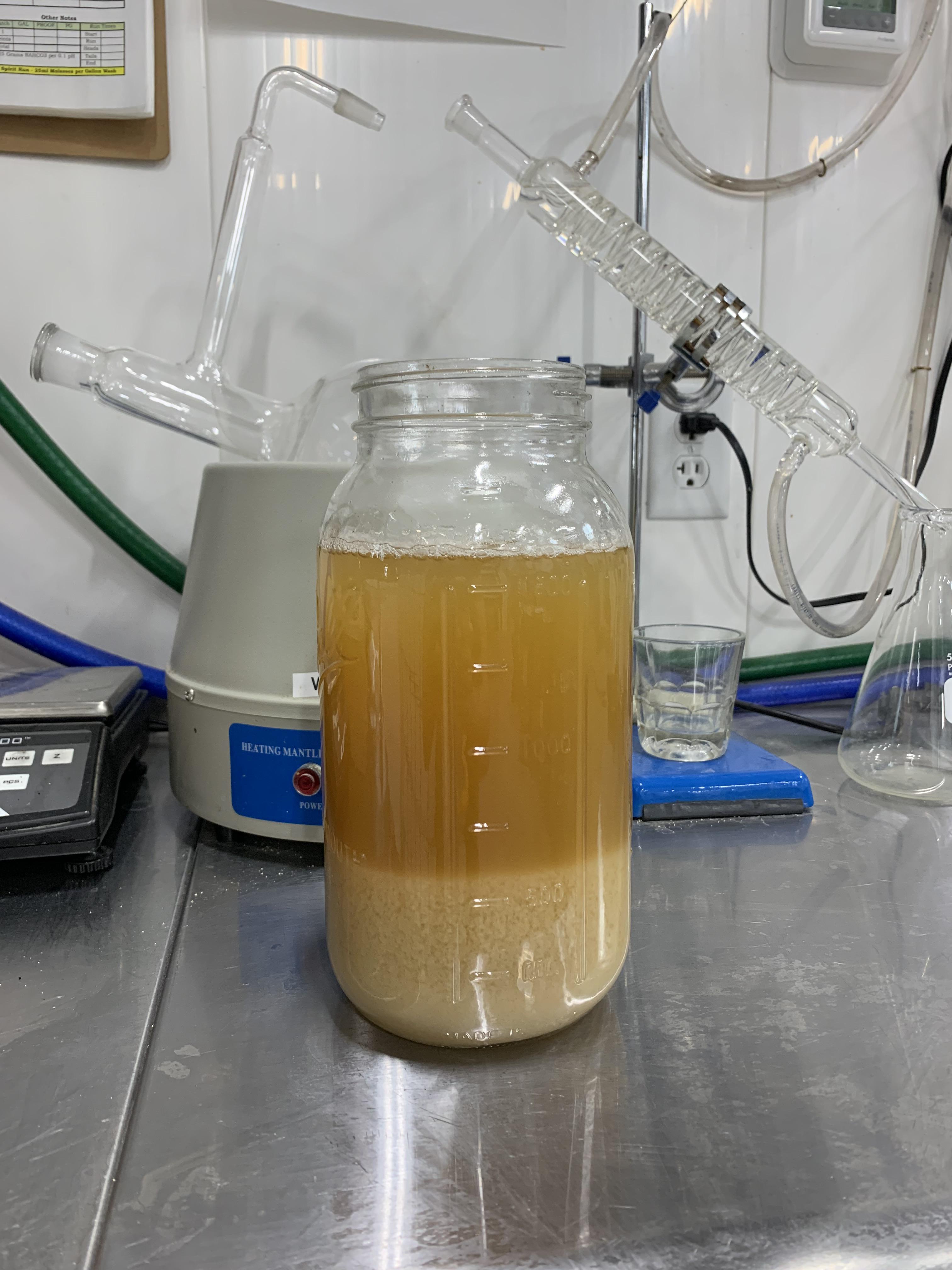 First Tequila (Blue Agave Spirit) Mash! | Scrolller