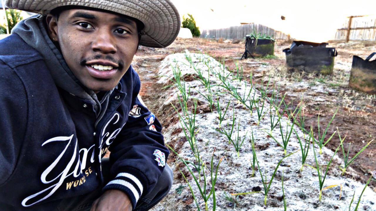 FIRST TIME GROWING GARLIC | Scrolller