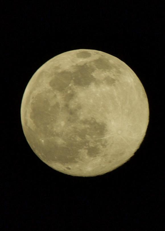 First time lucky | Scrolller