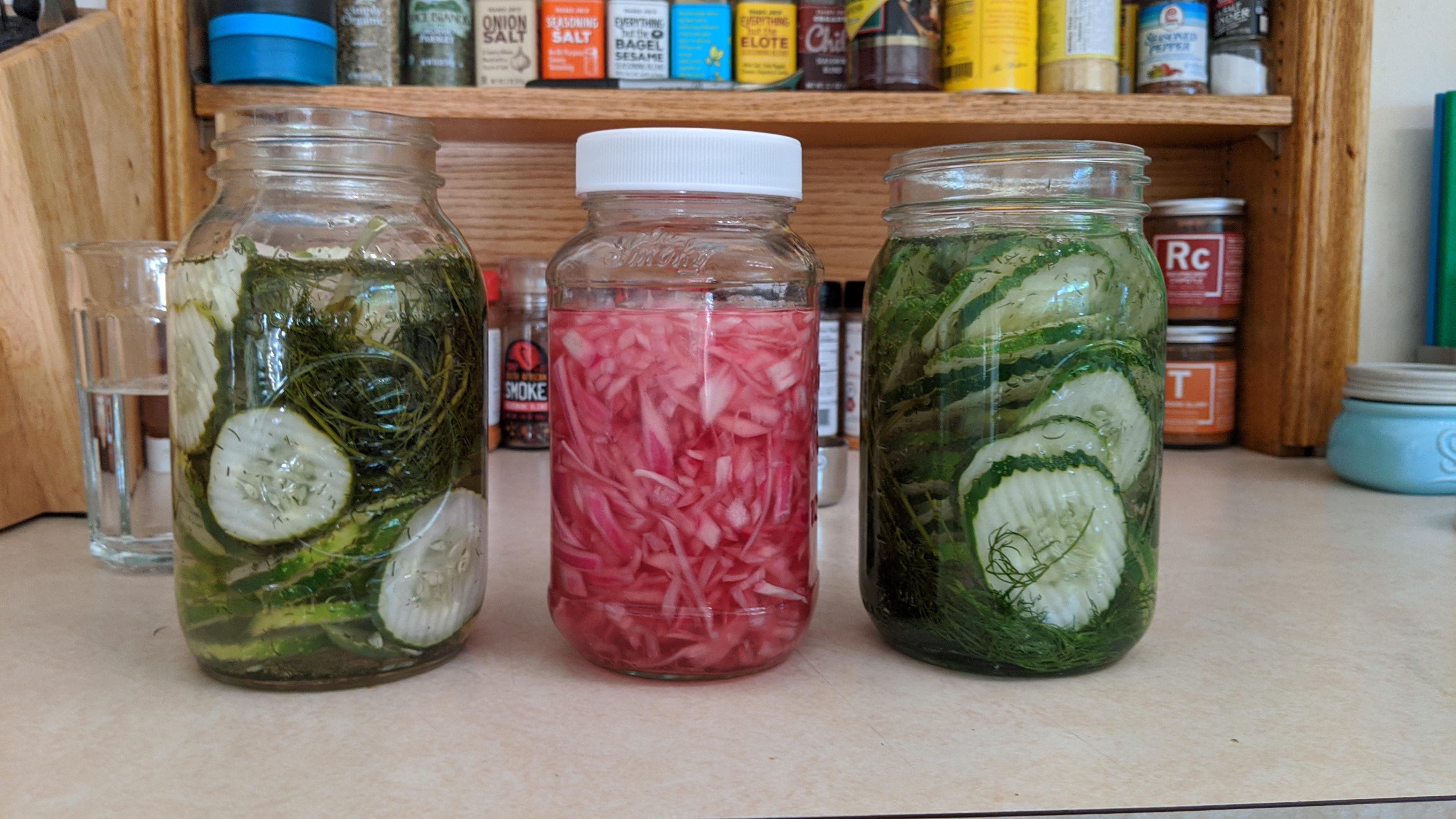 First Time Quick Pickle(Quickles if you will) | Scrolller