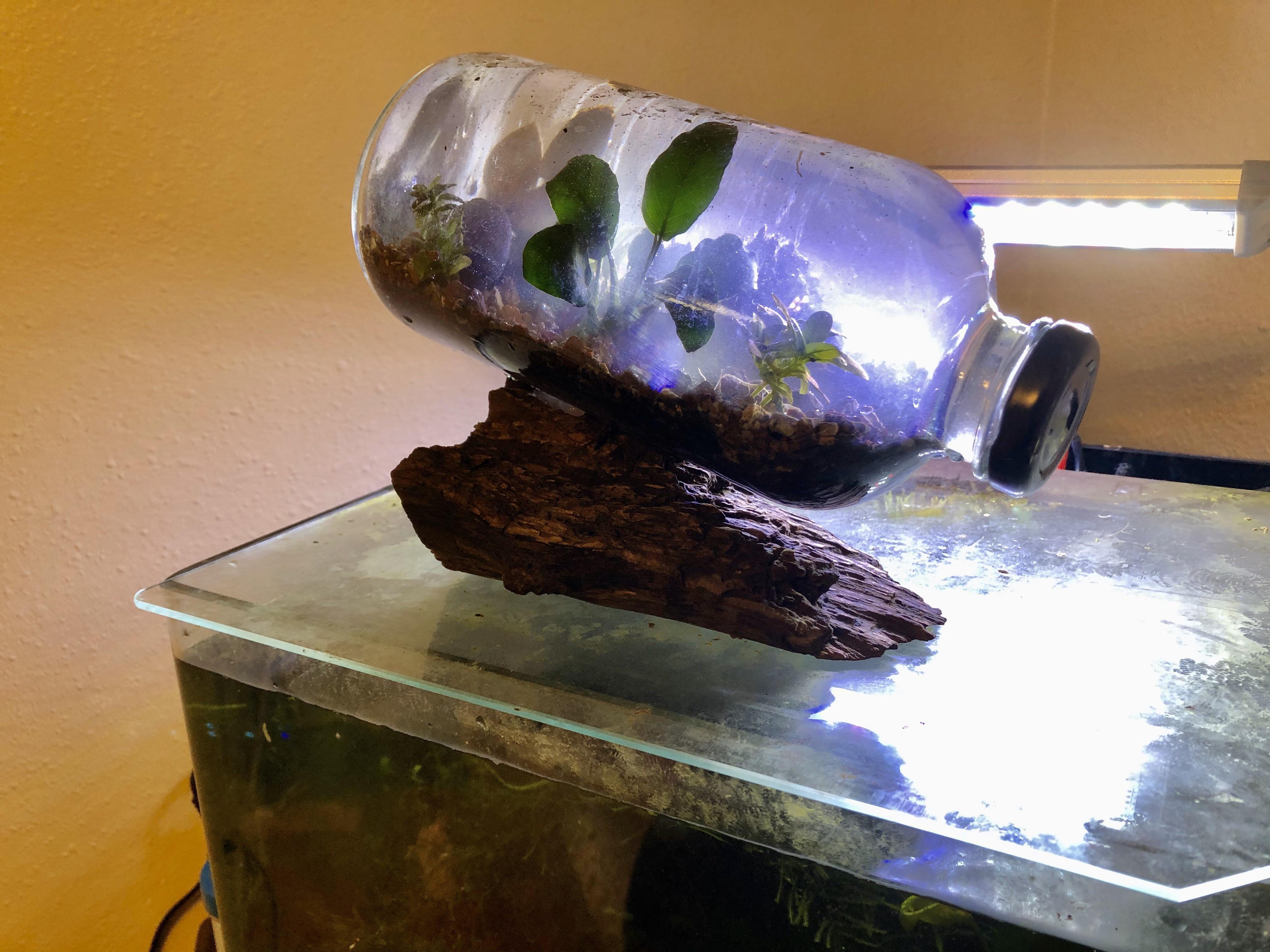 First true Jar... | Scrolller