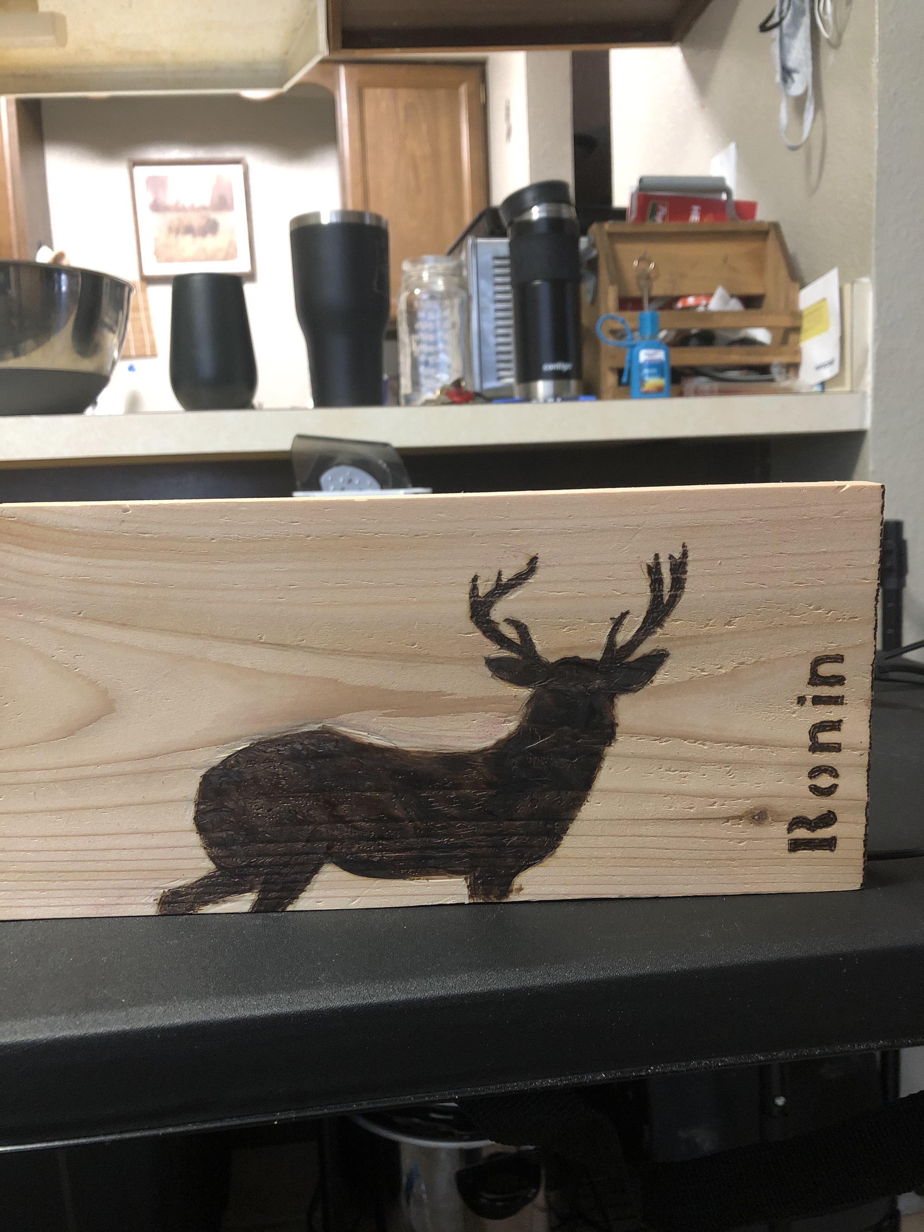 First wood burning project. For my friend’s newborn. | Scrolller