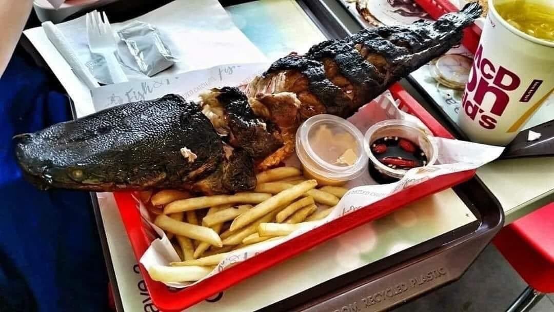 Fish and Chips | Scrolller