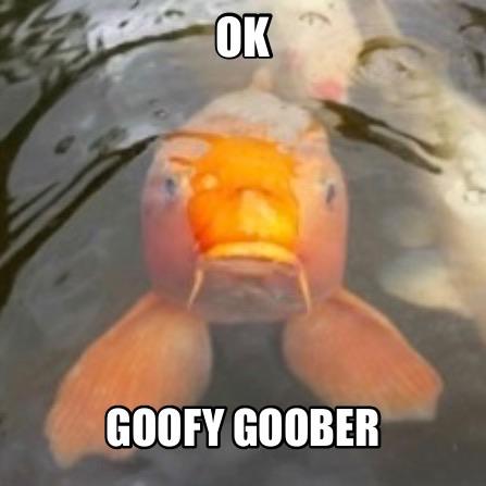 Fish go blub blub blub | Scrolller