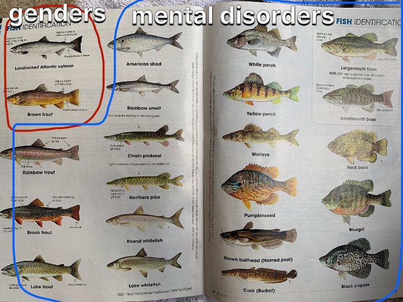 Fish rule | Scrolller