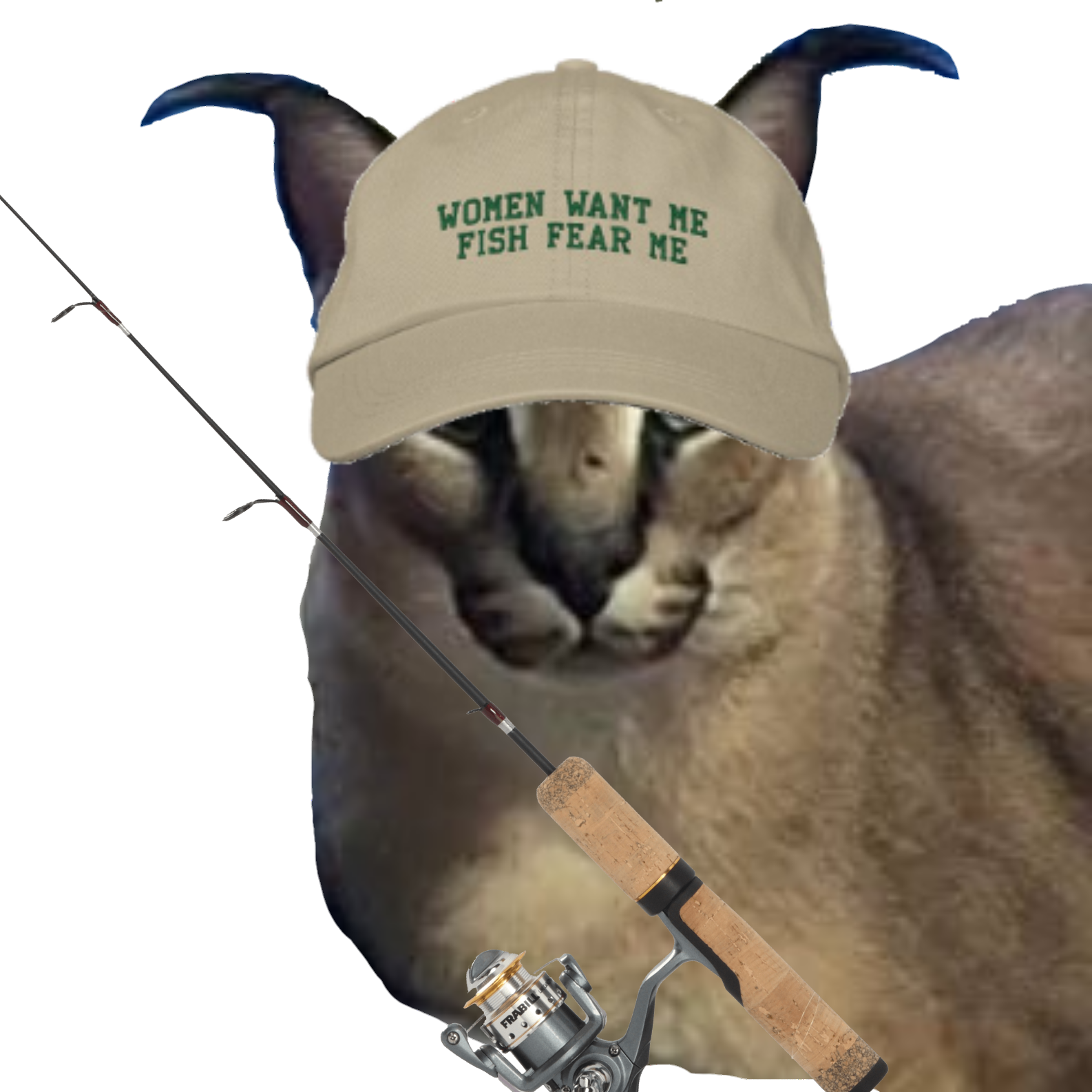 fishin' floppa | Scrolller