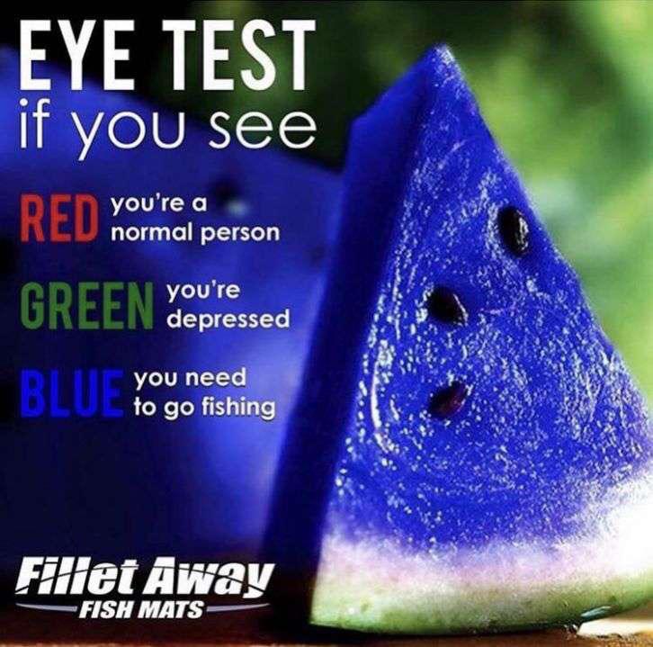 Fishing Rule | Scrolller