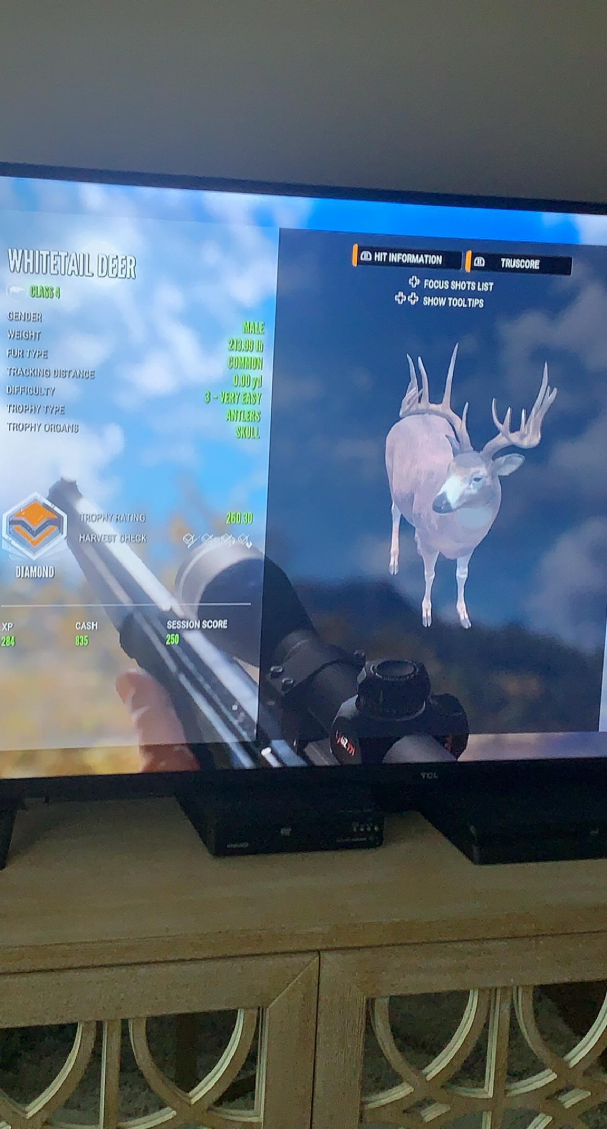 Fist diamond whitetail! | Scrolller